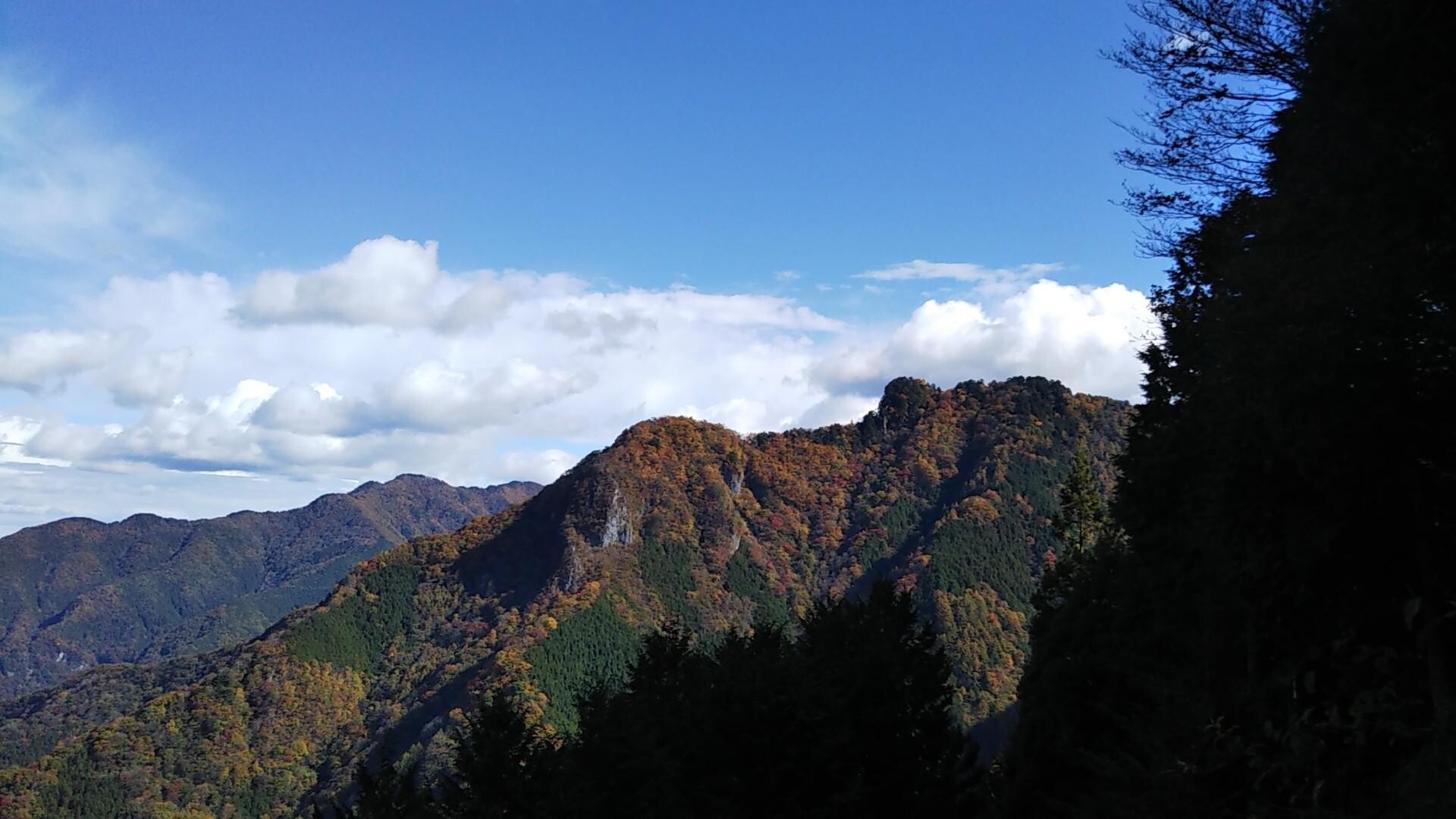 妙法ヶ岳20231029バスに乗って山へおでかけ！ / URJさんの雲取山・鷹ノ巣山・七ツ石山の活動データ | YAMAP / ヤマップ
