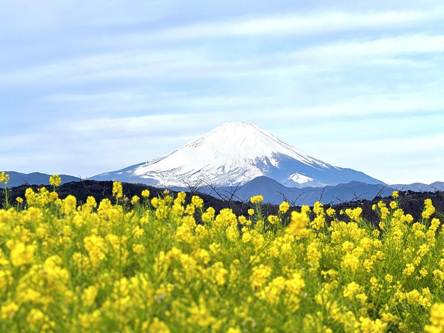 今朝は寒いですね☔️ 先日登った晴れの... / mooさんのモーメント | YAMAP / ヤマップ