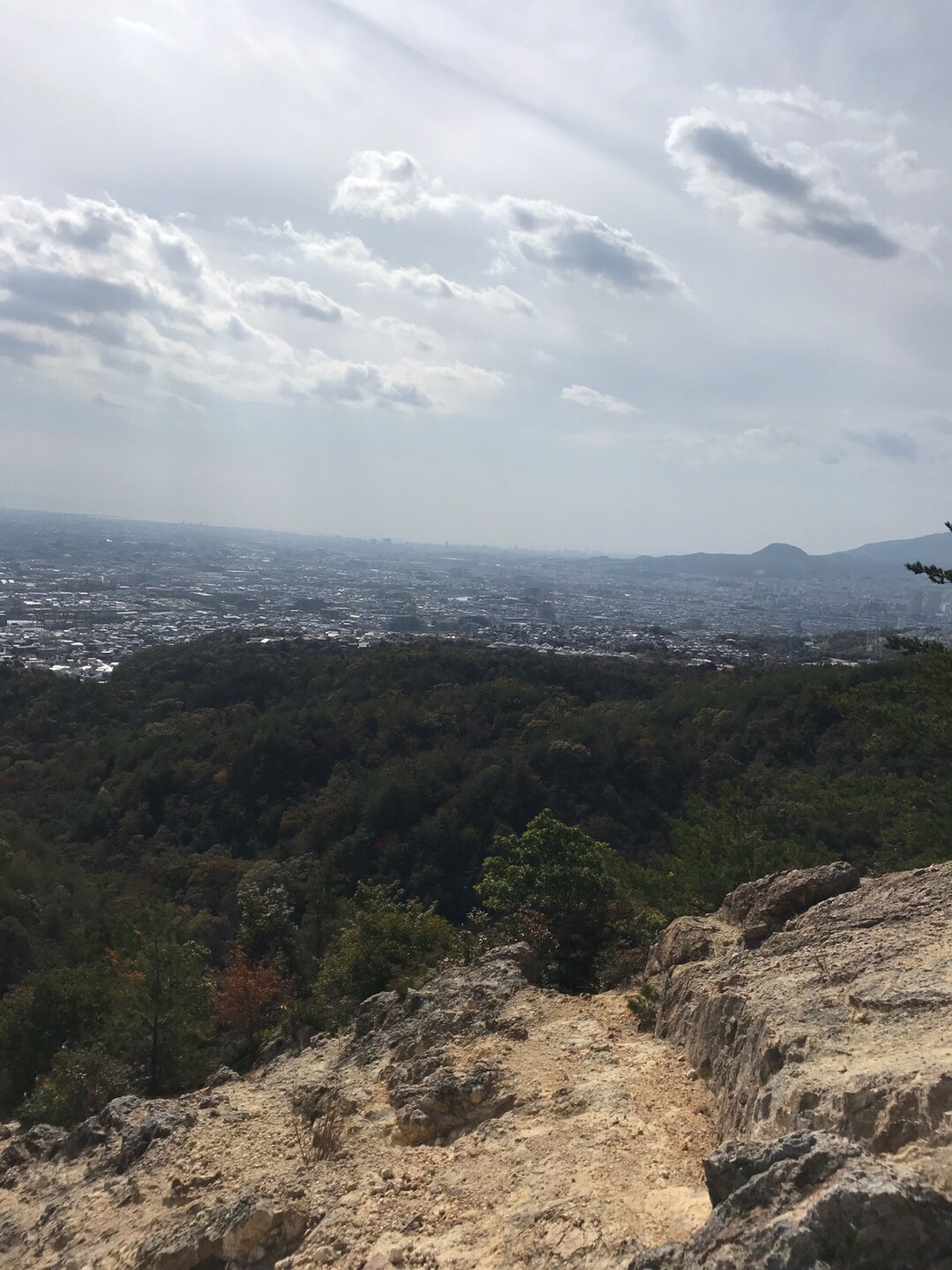 中山（兵庫県）・大峰山-2019-11-17 / Sab Zeroさんの中山・大峰山の活動データ | YAMAP / ヤマップ