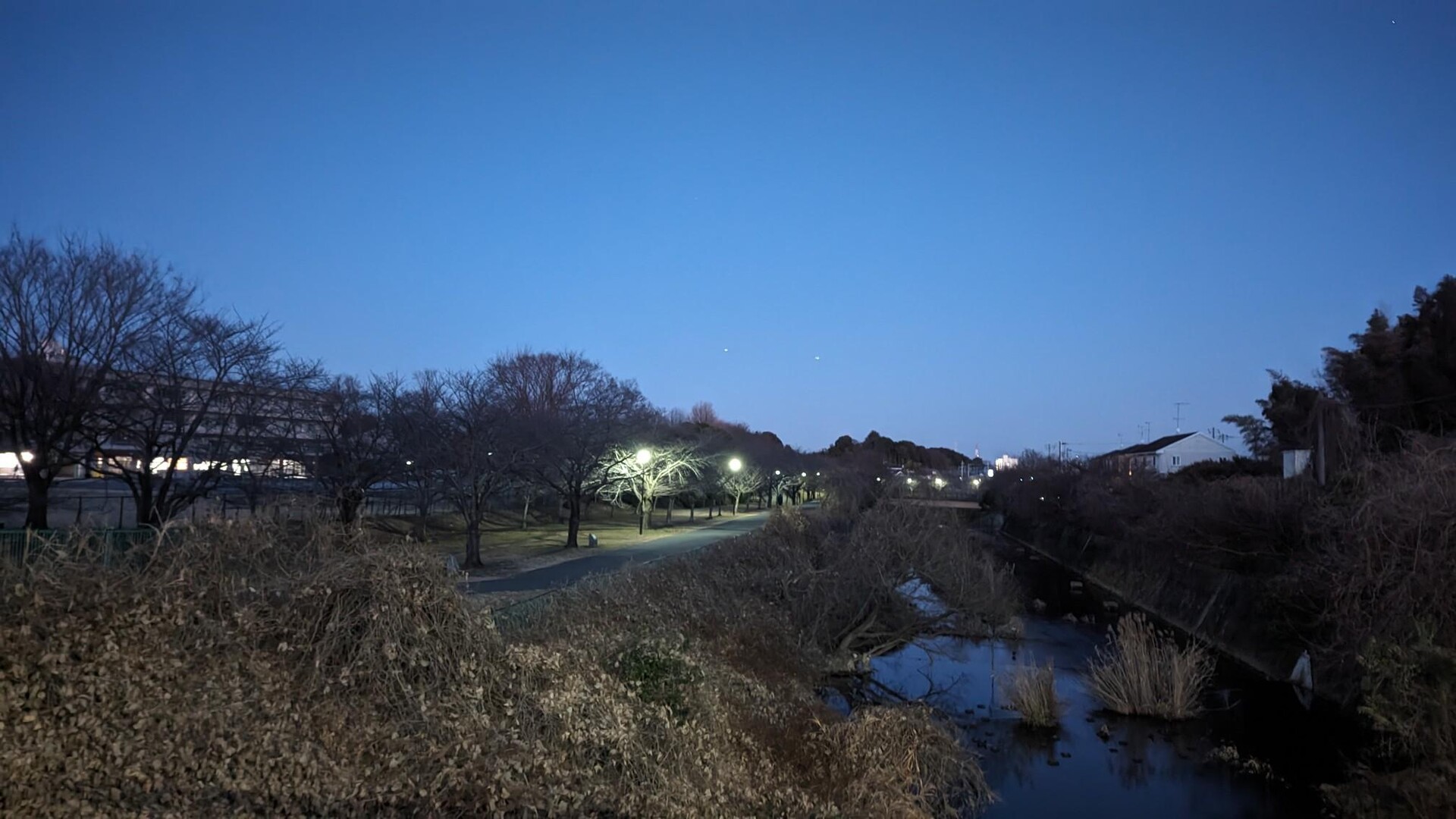 手賀沼ランニング-2024-01-15 / TK54さんのランニングの活動データ | YAMAP / ヤマップ