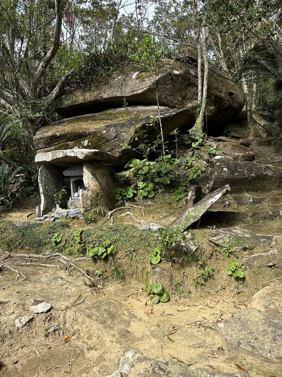 しま山100選#39 天女ヶ倉（種子島） / kobaさんの天女ヶ倉・西之表市（北部）の活動データ | YAMAP / ヤマップ