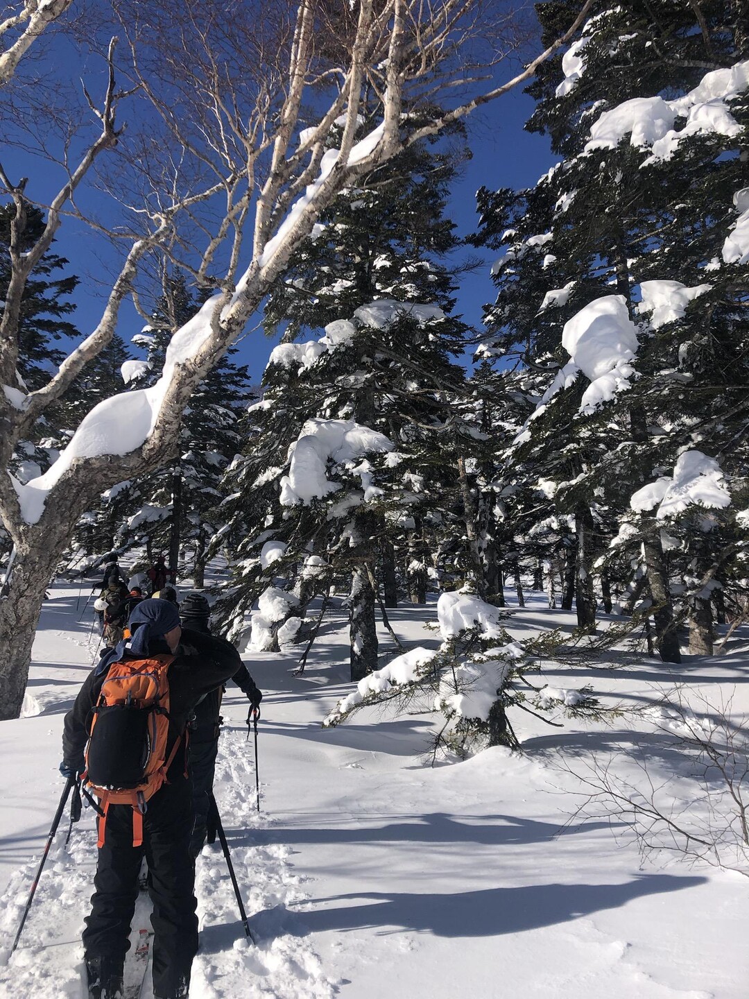 今シーズン初bc 今年は雪が豊富で良かっ... / Hiroさんのモーメント | YAMAP / ヤマップ
