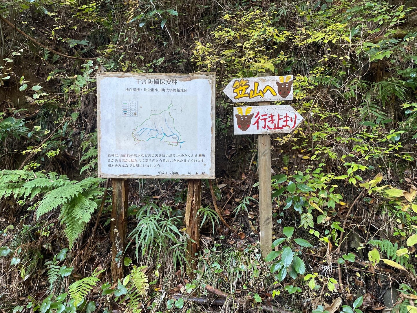 von Sigさんの投稿したフィールドメモ | YAMAP / ヤマップ