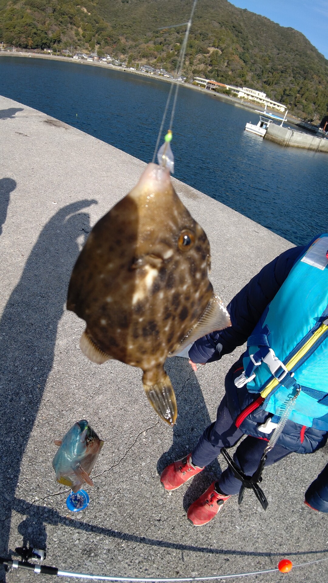 久しぶりに今日は海 ️釣りです。小ぶりが... / tamuさんのモーメント | YAMAP / ヤマップ