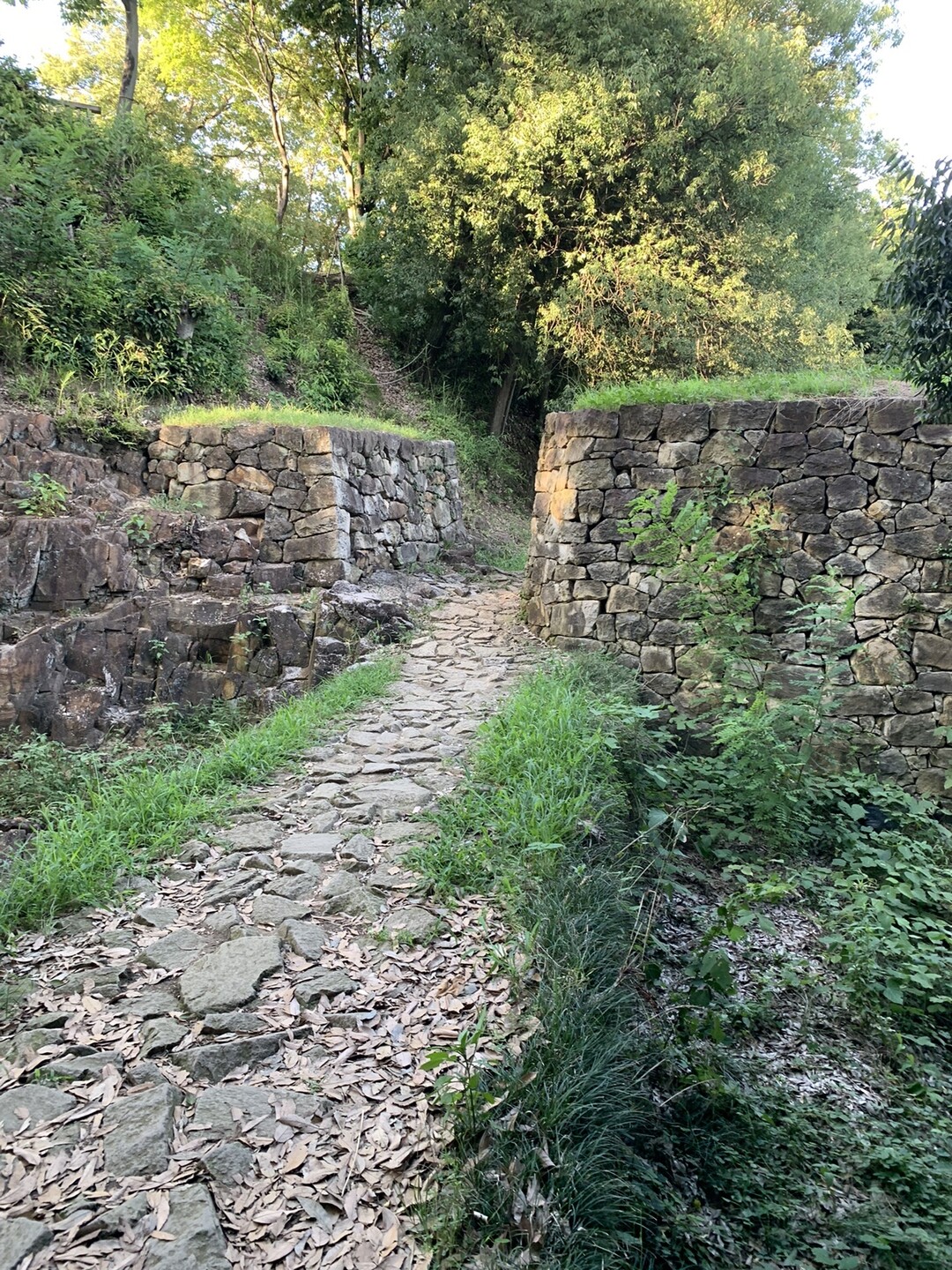 金山・大八王子山 / monaさんの金山（新田金山）・八王子丘陵の活動データ | YAMAP / ヤマップ