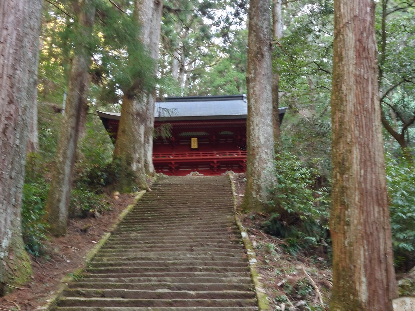 鳳来寺山・瑠璃山 / eunos.kkさんの宇連山・鳳来寺山・岩古谷山の活動データ | YAMAP / ヤマップ