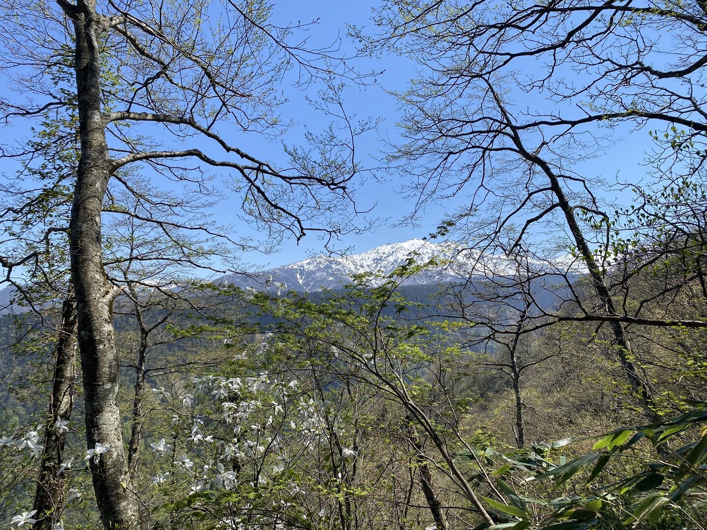 極楽坂山・瀬戸蔵山・大品山 / yakataさんの鍬崎山・大品山・瀬戸蔵山の活動データ | YAMAP / ヤマップ