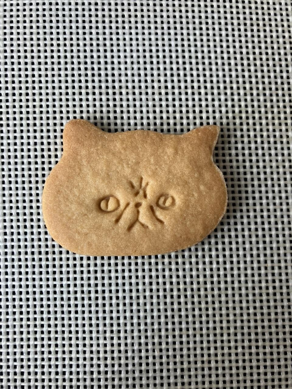 machikoのページ | YAMAP / ヤマップ