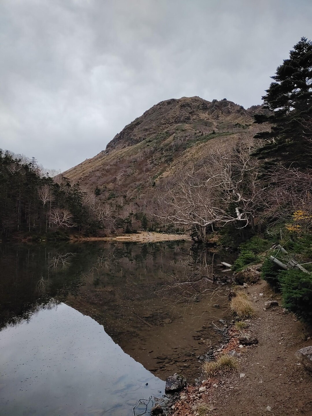 リベンジ！日光白根山 / kaz kitさんの日光白根山・五色山・錫ヶ岳の活動データ | YAMAP / ヤマップ