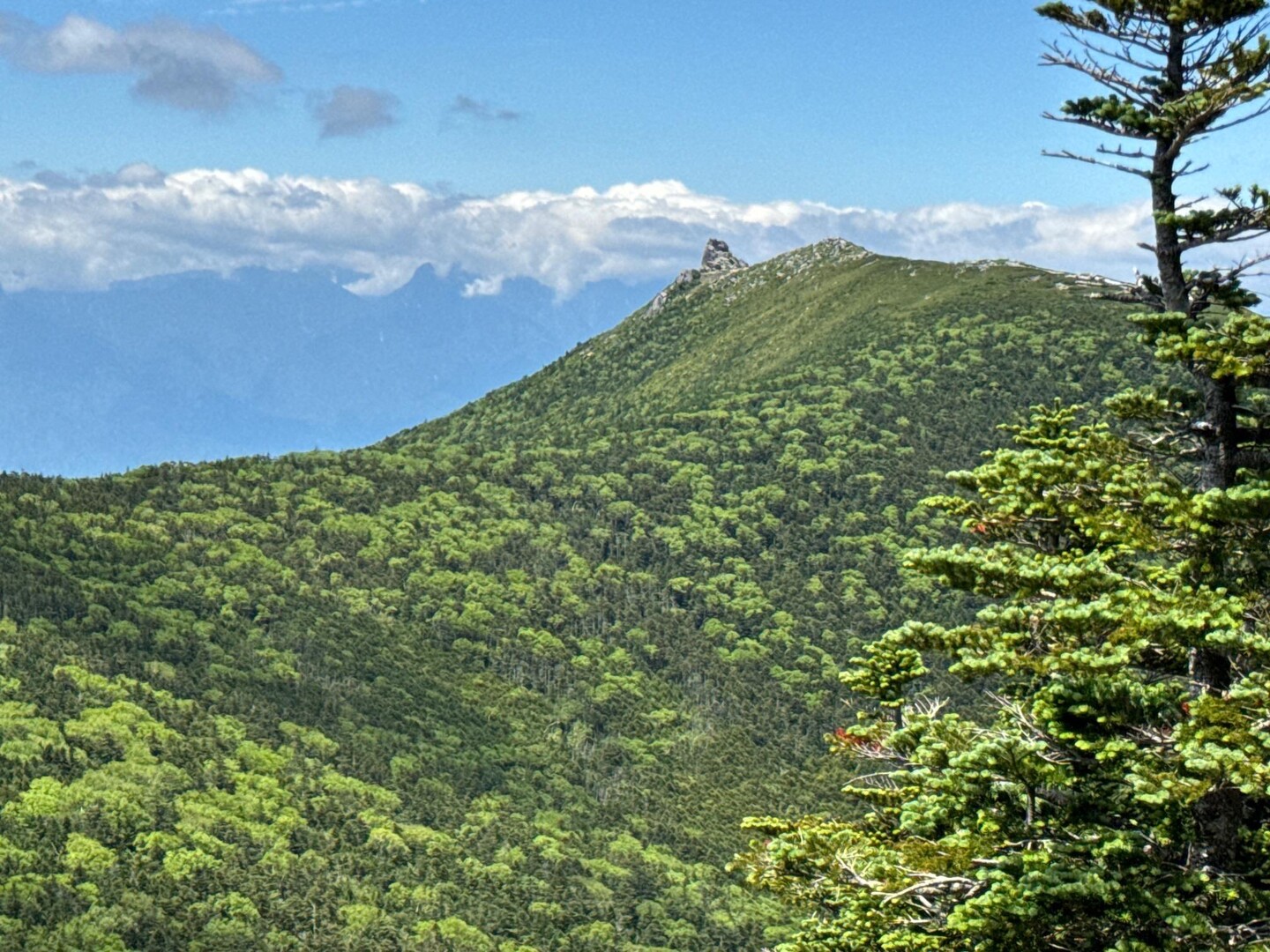 猛暑日の金峰山・国師ヶ岳 / BAYSさんの瑞牆山・金峰山の活動データ | YAMAP / ヤマップ