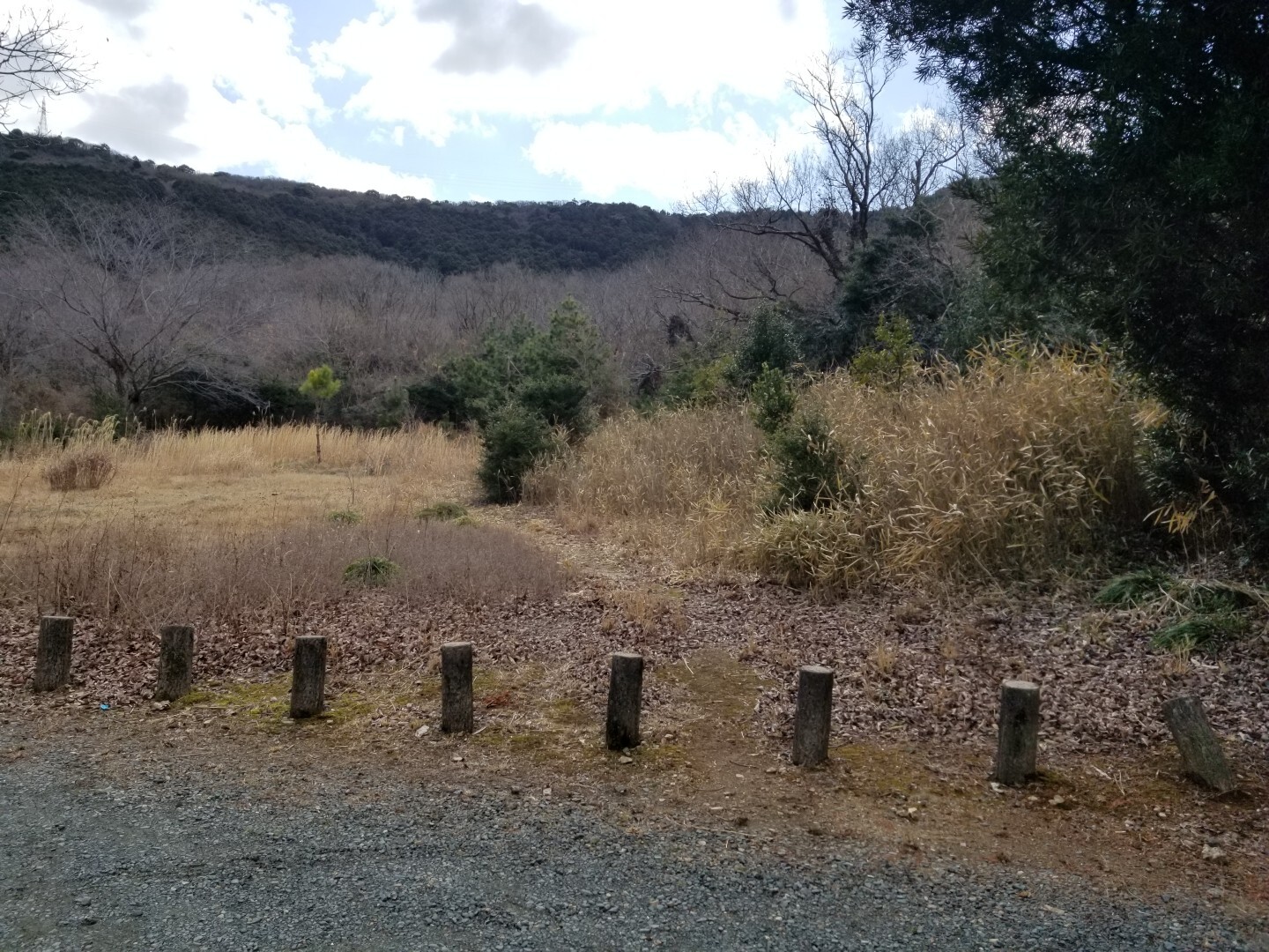 tako2019さんの投稿したフィールドメモ | YAMAP / ヤマップ