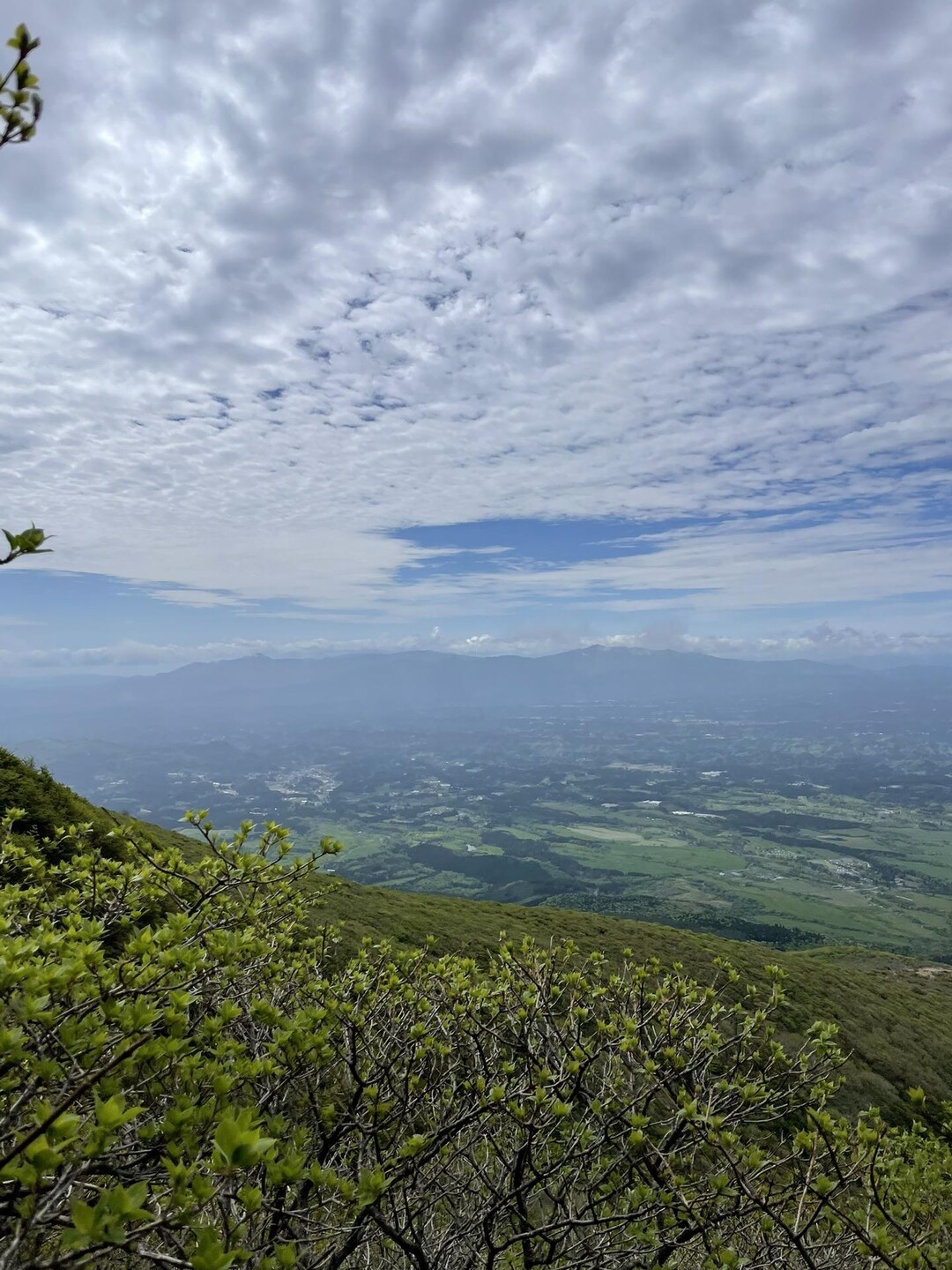 久住山トレでいつもの周回 / UP！UP！Stairsさんの九重山（久住山）・大船山・星生山の活動データ | YAMAP / ヤマップ