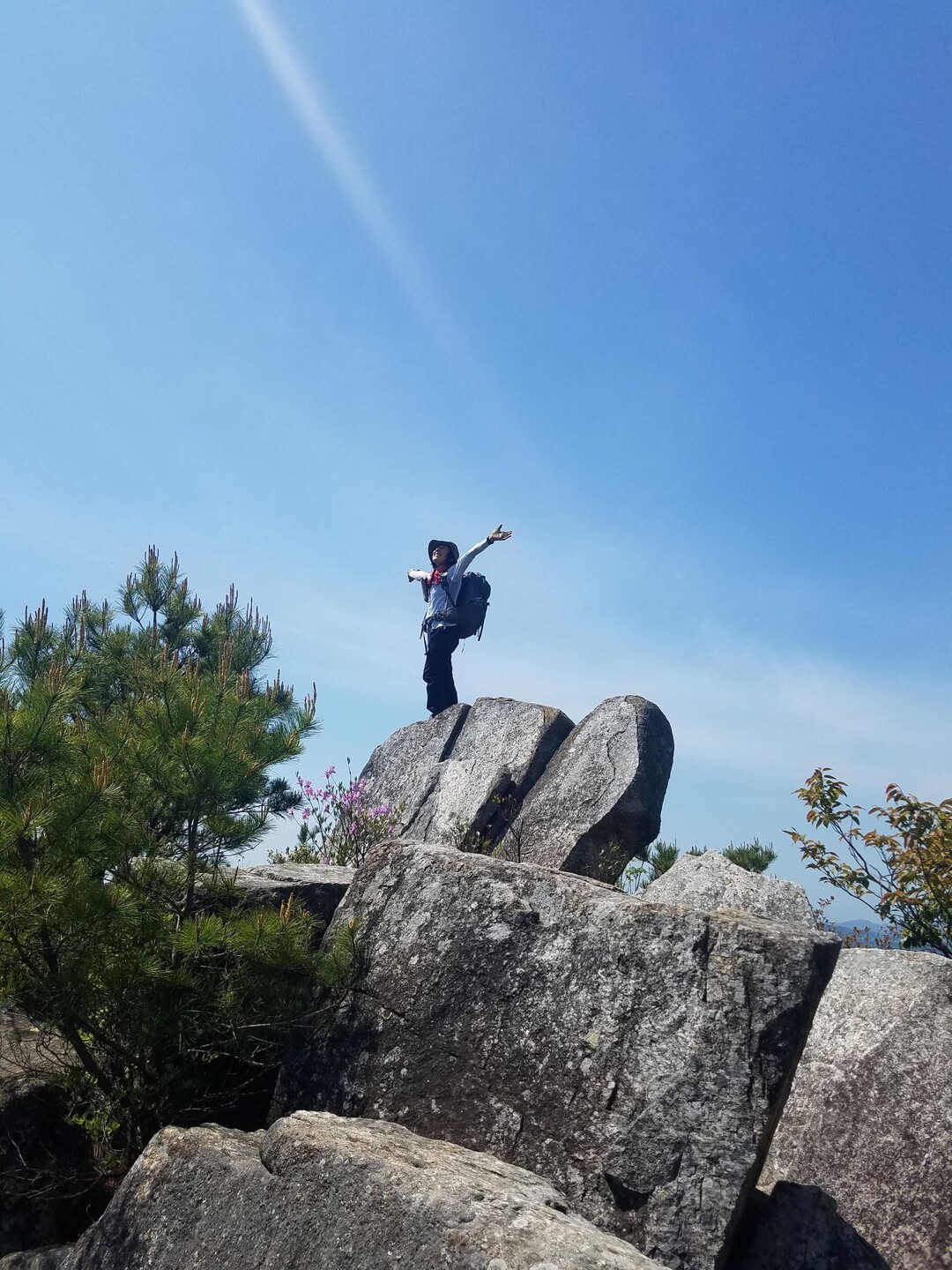 shigeyoのページ | YAMAP / ヤマップ