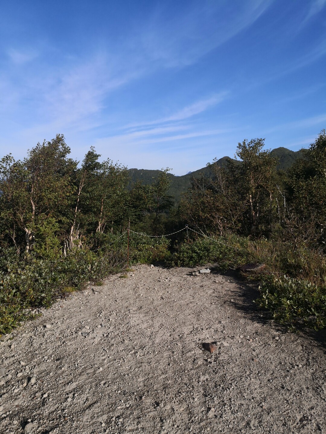 sayuさんの投稿したフィールドメモ | YAMAP / ヤマップ