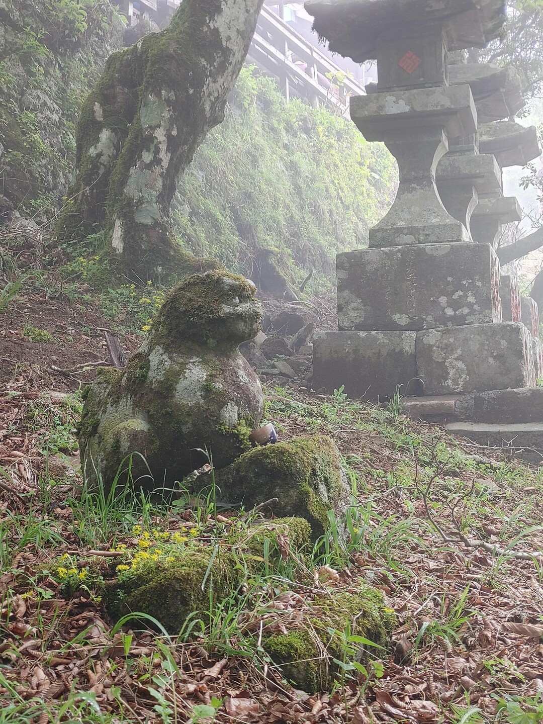 午後から大山 / dodoさんの大山の活動データ | YAMAP / ヤマップ