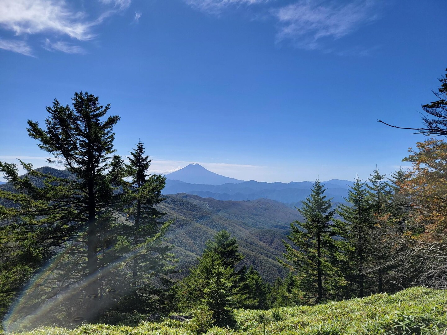 shunさんの投稿したフィールドメモ | YAMAP / ヤマップ