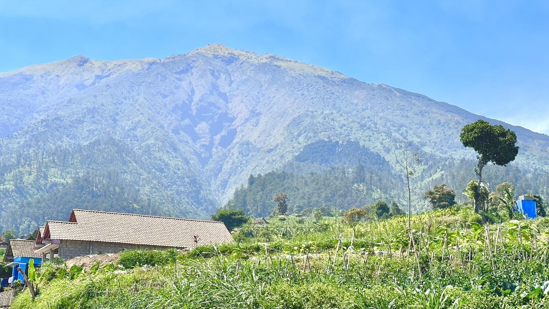 Mount Merbabu via Suwanting テント泊 / Pamuさんのメルバブ山の活動データ | YAMAP / ヤマップ