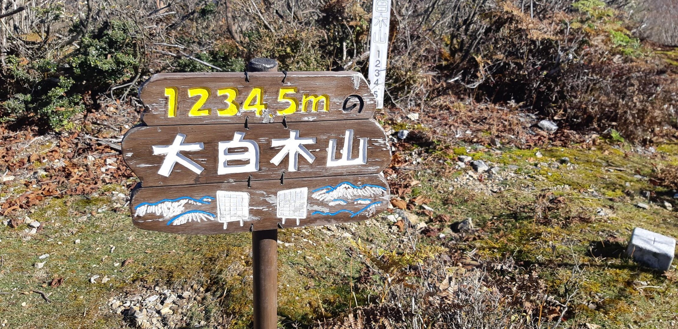 大白木山 / taroさんの高屋山・大白木山の活動データ | YAMAP / ヤマップ