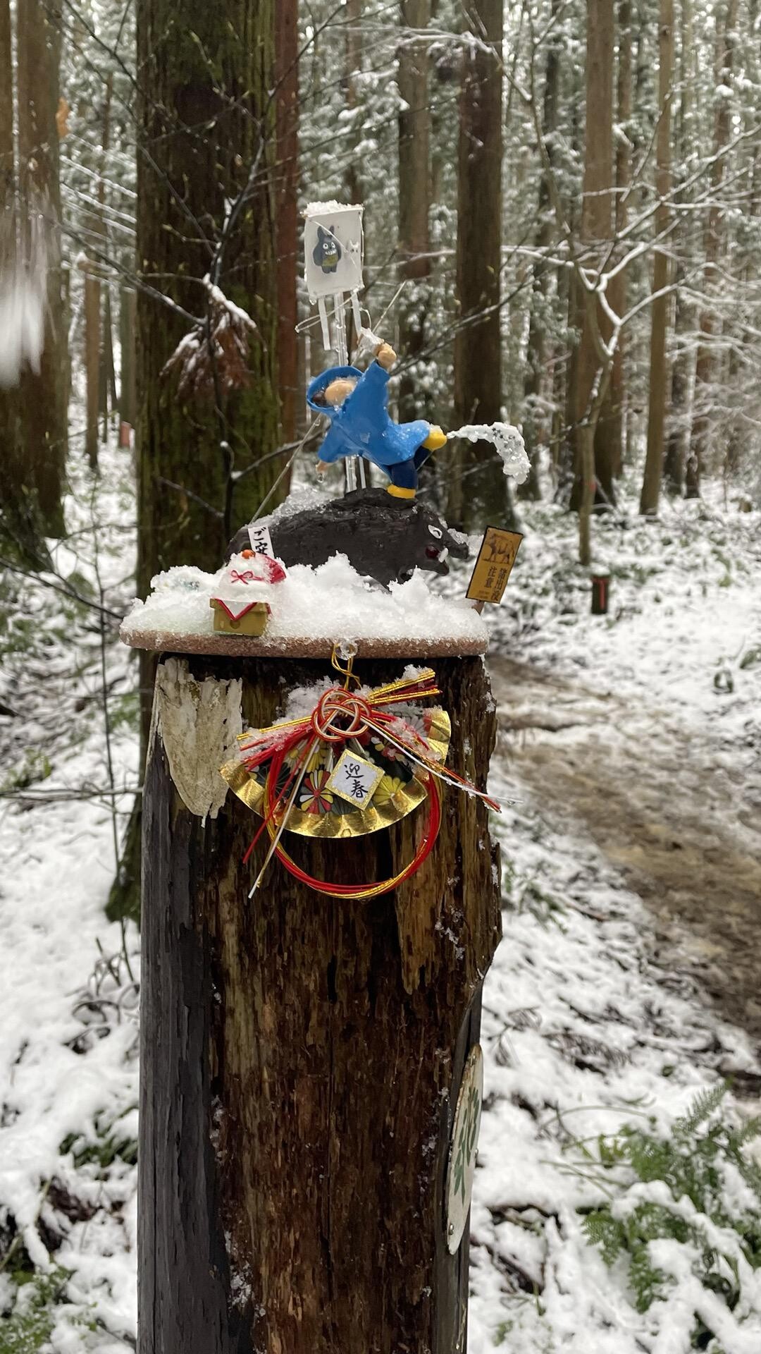 弥彦山 初登り / COCOさんの弥彦山・多宝山・雨乞山の活動データ | YAMAP / ヤマップ