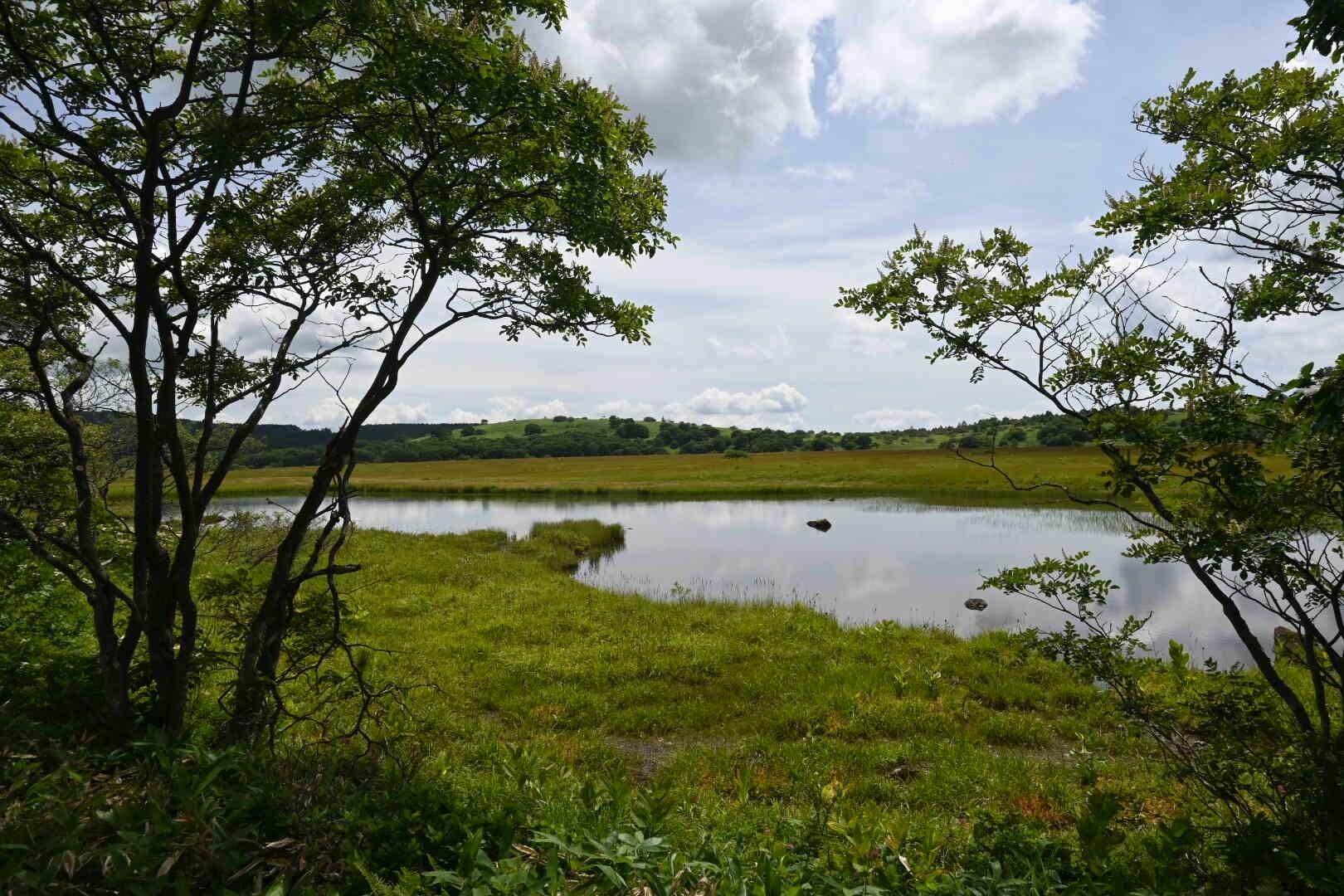 霧ヶ峰(湿原さんぽ) / Akoさんの霧ヶ峰・車山・大笹峰の活動データ | YAMAP / ヤマップ