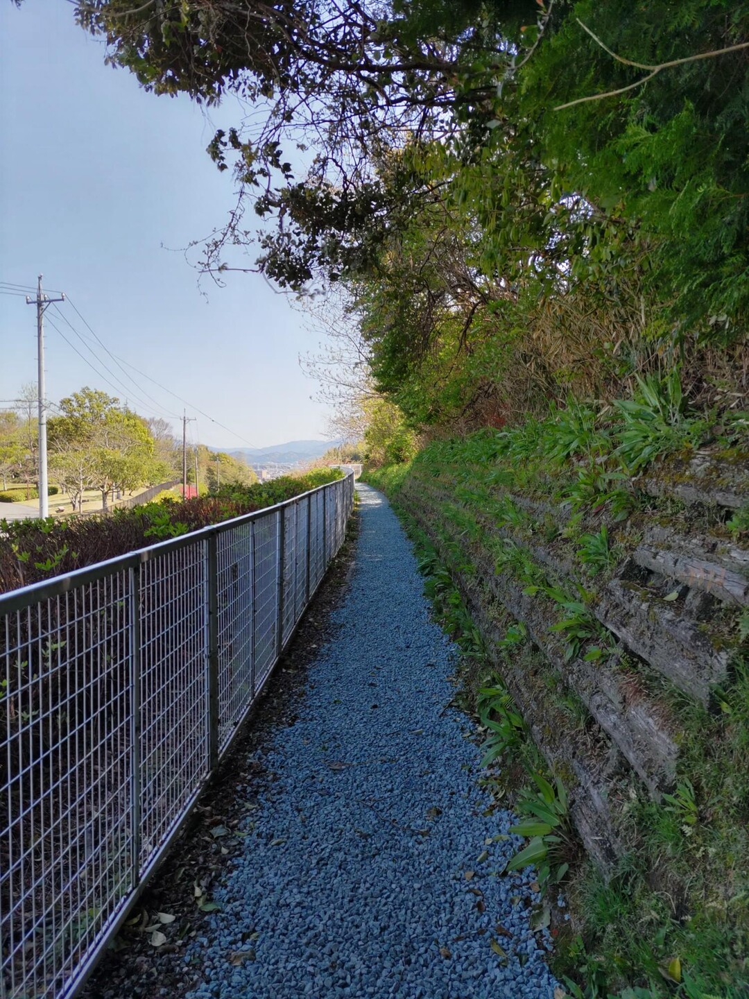 大仏山【53m】今日は暖かいです/公園内ｳｫｰｷﾝｸﾞ / さとちゃんさんの伊勢市の活動データ | YAMAP / ヤマップ