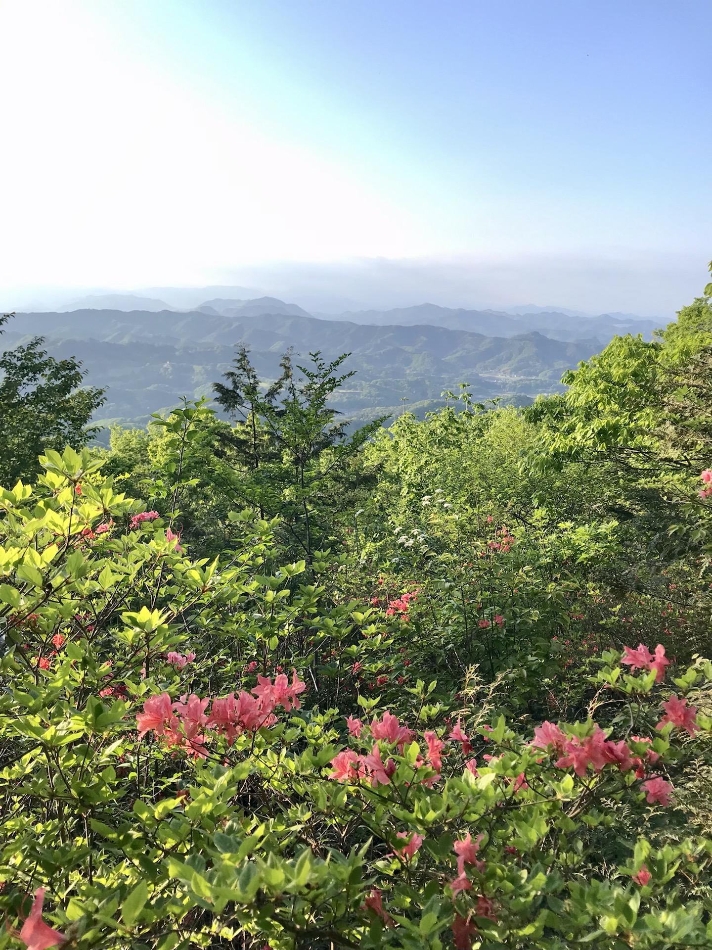 太平山・晃石山 / aoi-stepさんの太平山・晃石山・唐沢山の活動データ | YAMAP / ヤマップ