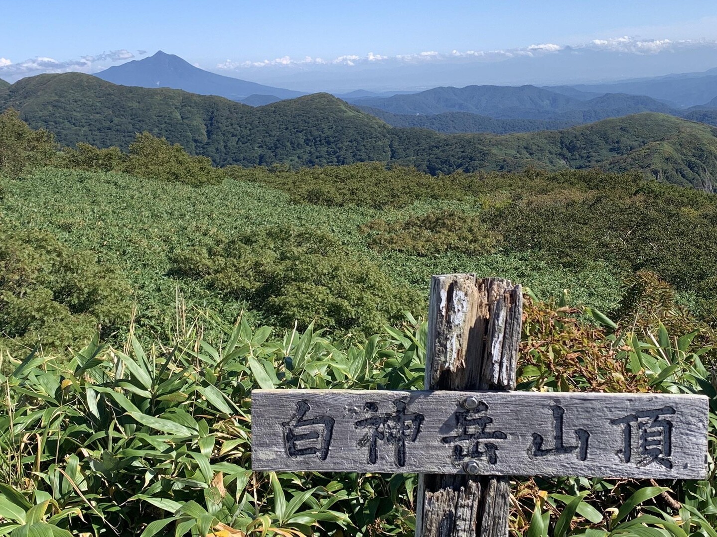 ブナ林🌳堪能の 蟶山・白神岳 / Raraさんの白神岳・蟶山・大峰岳の活動データ | YAMAP / ヤマップ