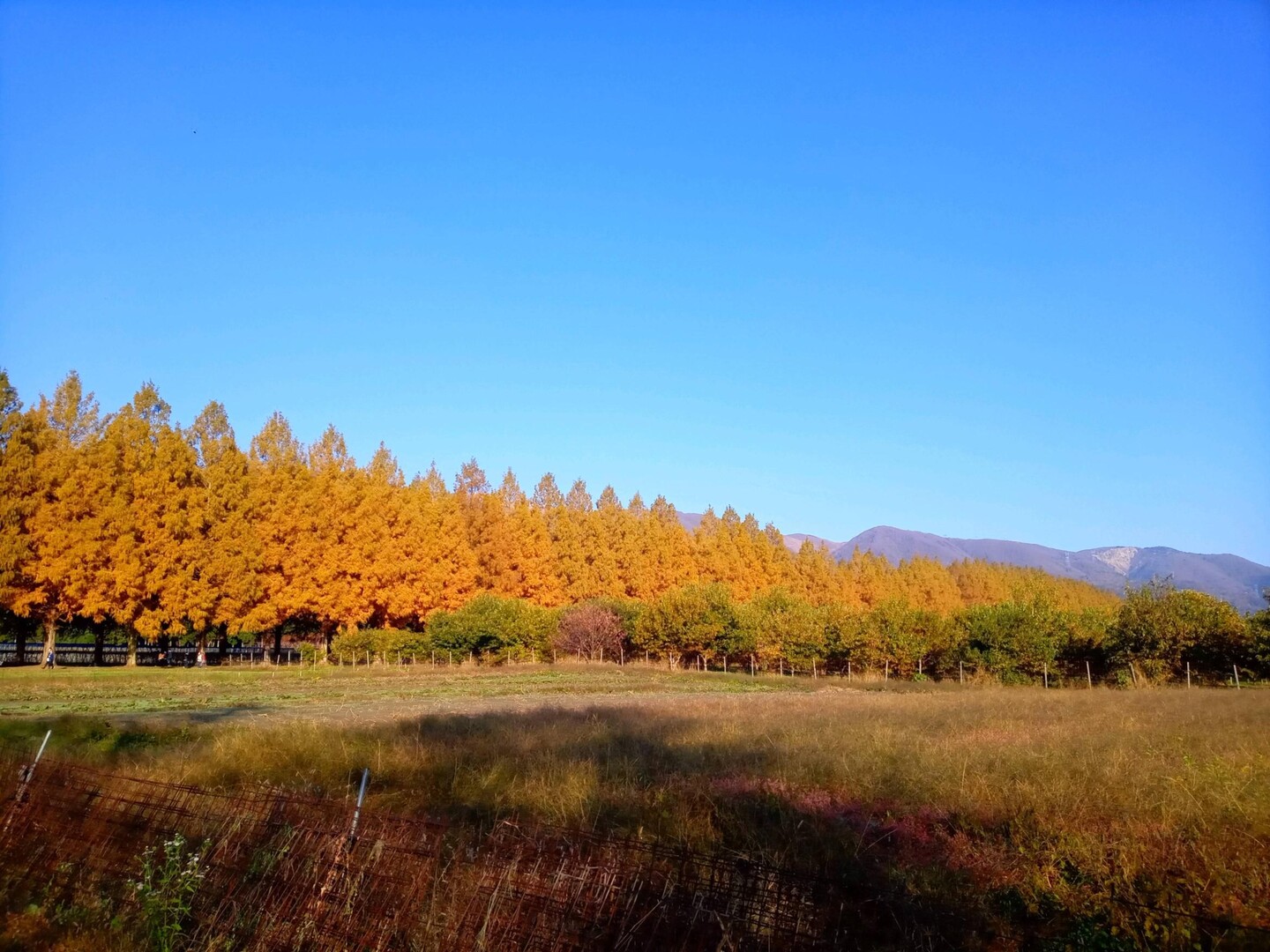 大谷山・寒風・赤坂山・三国山 / hi-santさんの三国山・乗鞍岳・赤坂山の活動データ | YAMAP / ヤマップ