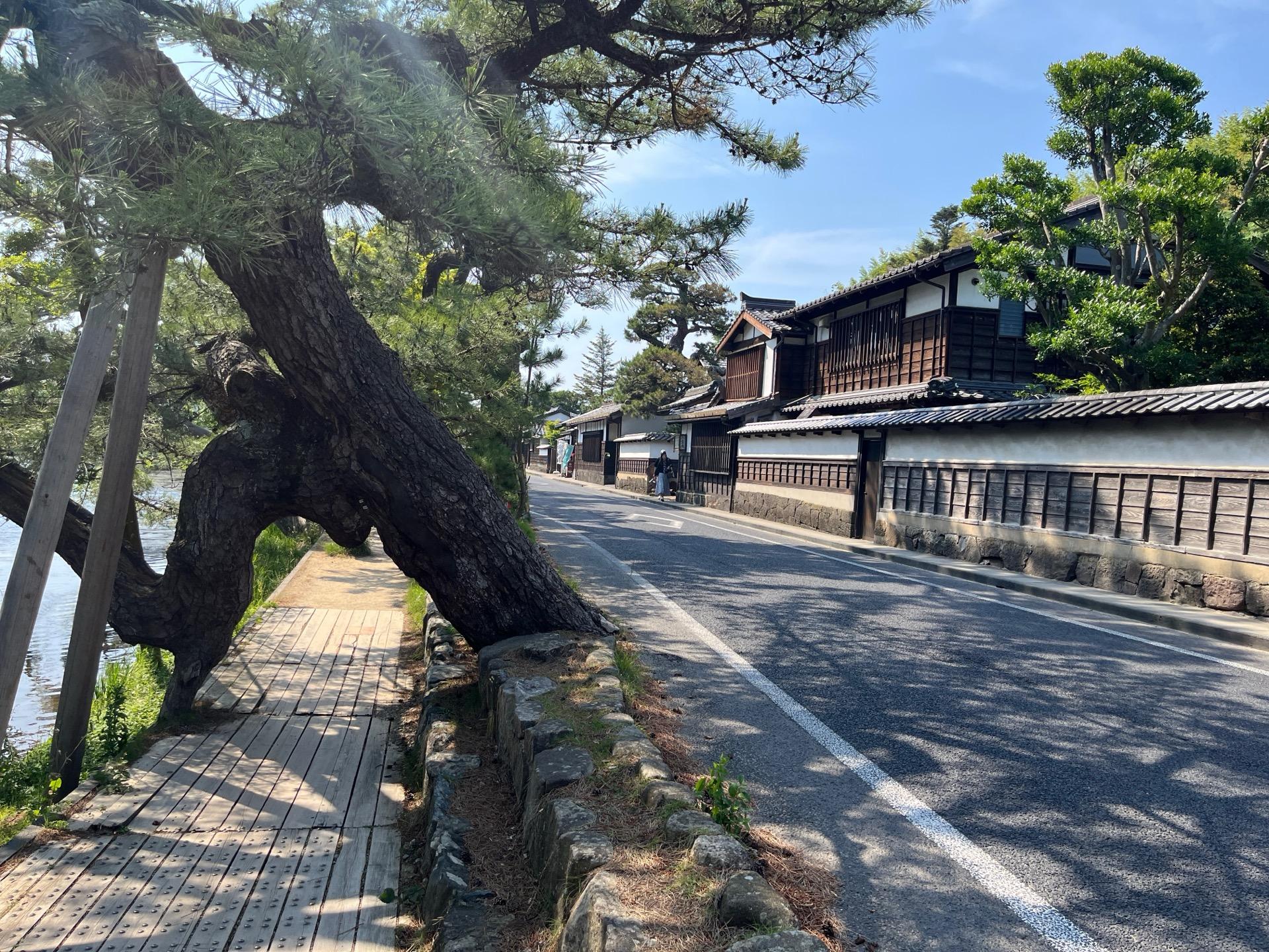 松江城下ウォーキング-2025-06-07 / kazさんのウォーキングの活動データ | YAMAP / ヤマップ