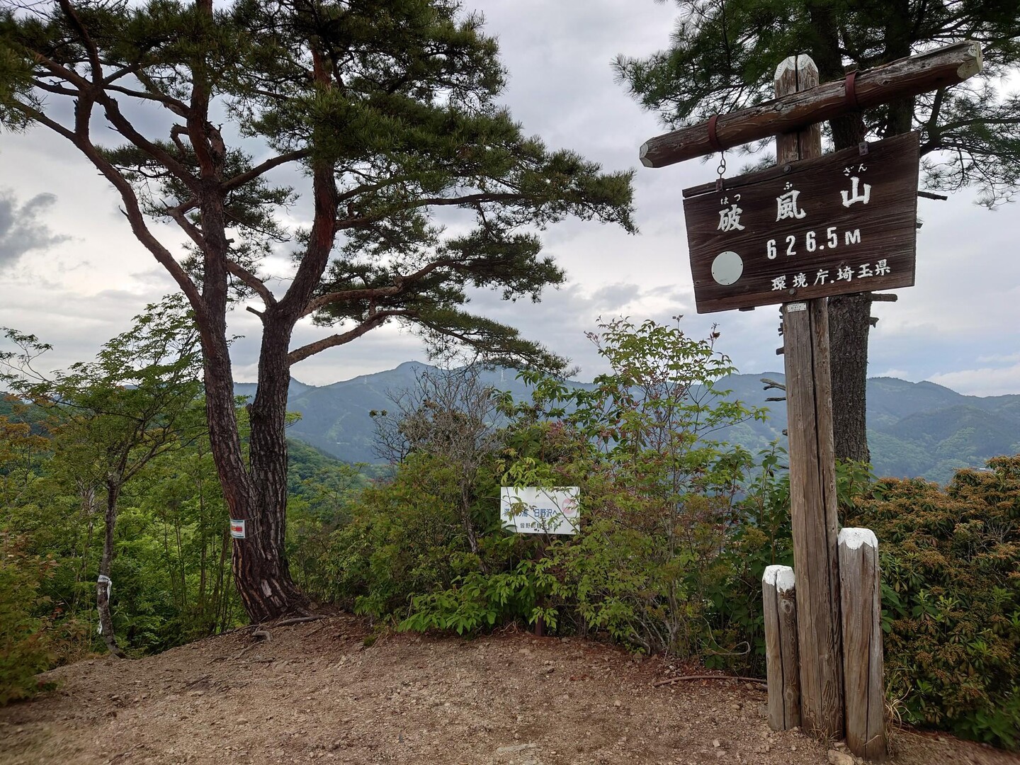 FTRみなの50K参戦 / 稲毛の浜で走りこみさんの武甲山・伊豆ヶ岳・小持山の活動データ | YAMAP / ヤマップ