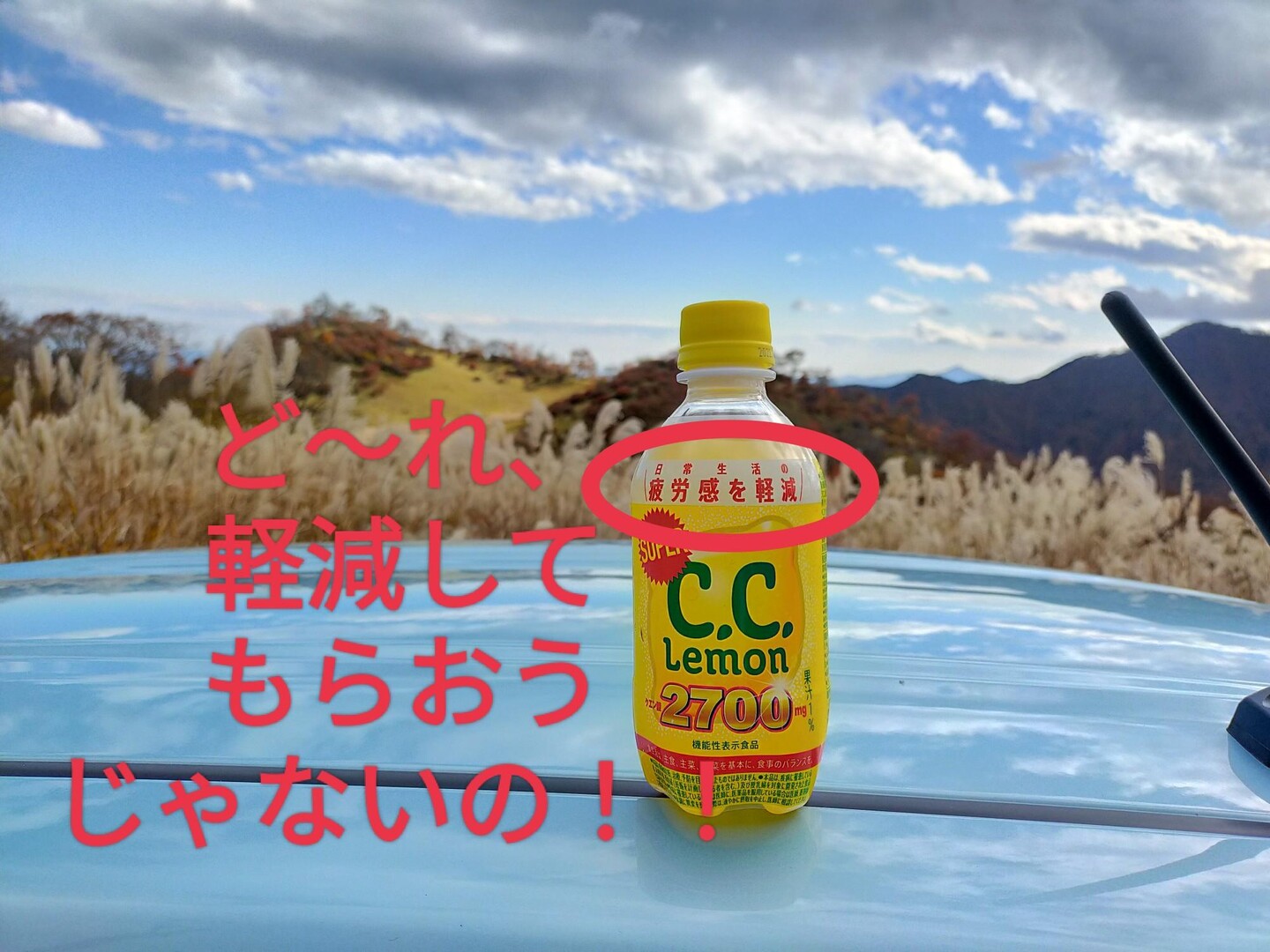 栃百95：月山（＆夫婦山）栃木百名山入れ替え戦はないのかな？ / Sky Sunさんの月山・毘沙門山の活動データ | YAMAP / ヤマップ