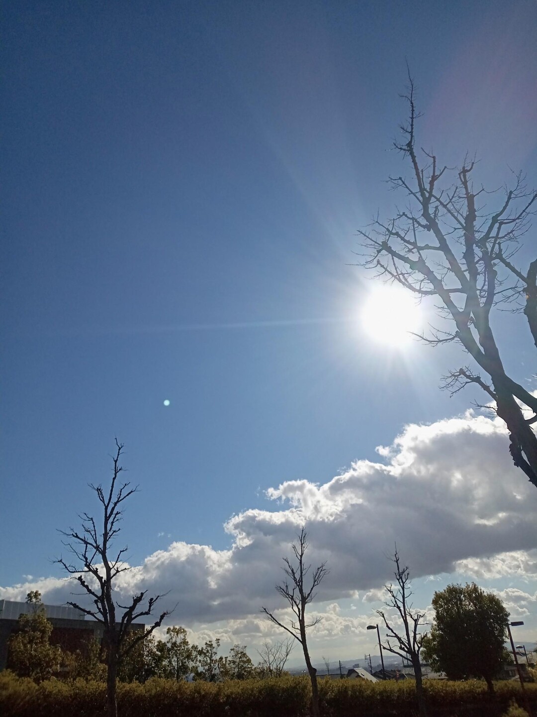 1,2, 11時15分 3,4, ... / yuusenさんのモーメント | YAMAP / ヤマップ