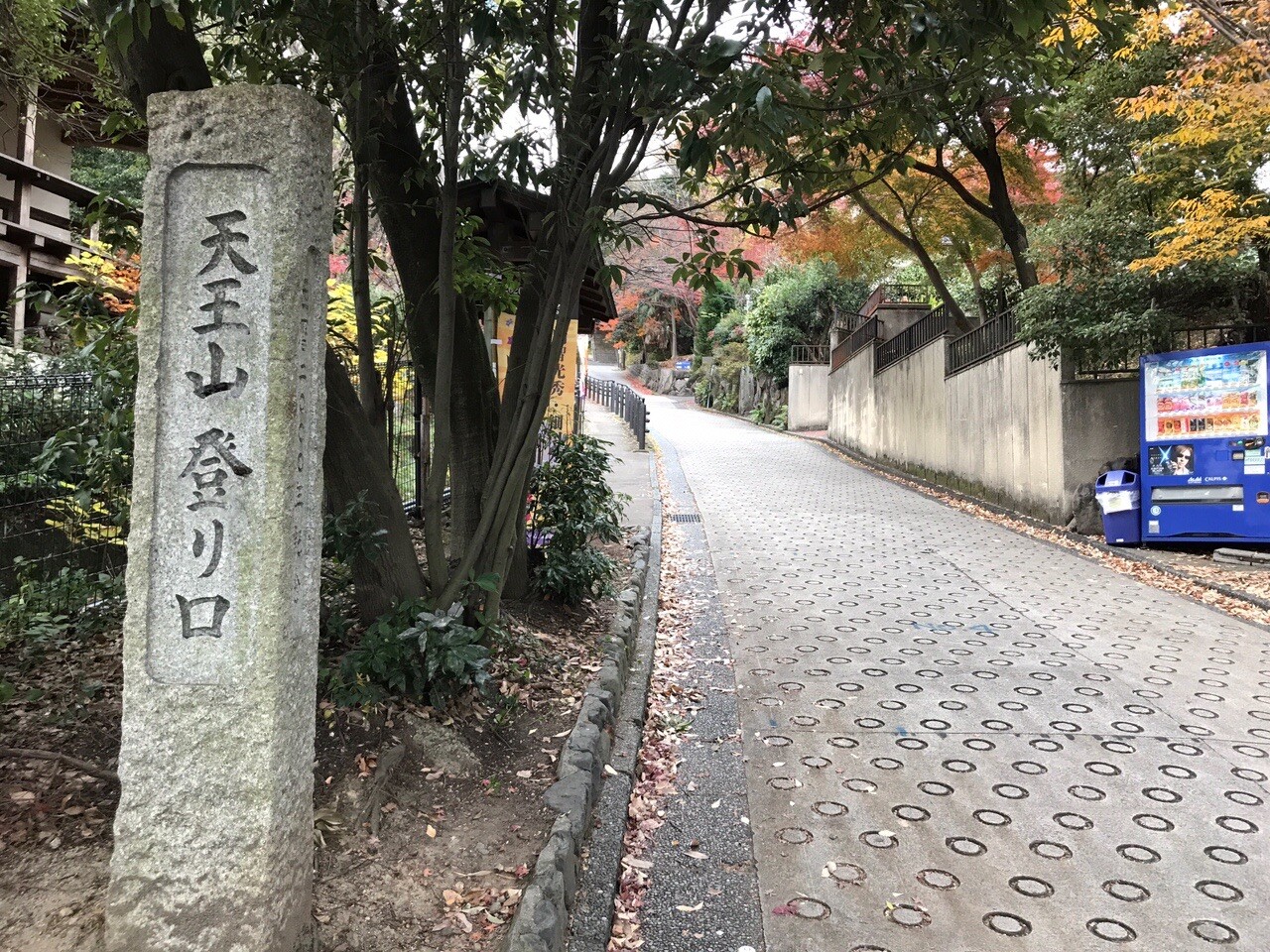 ぷーさん5646さんの投稿したフィールドメモ | YAMAP / ヤマップ