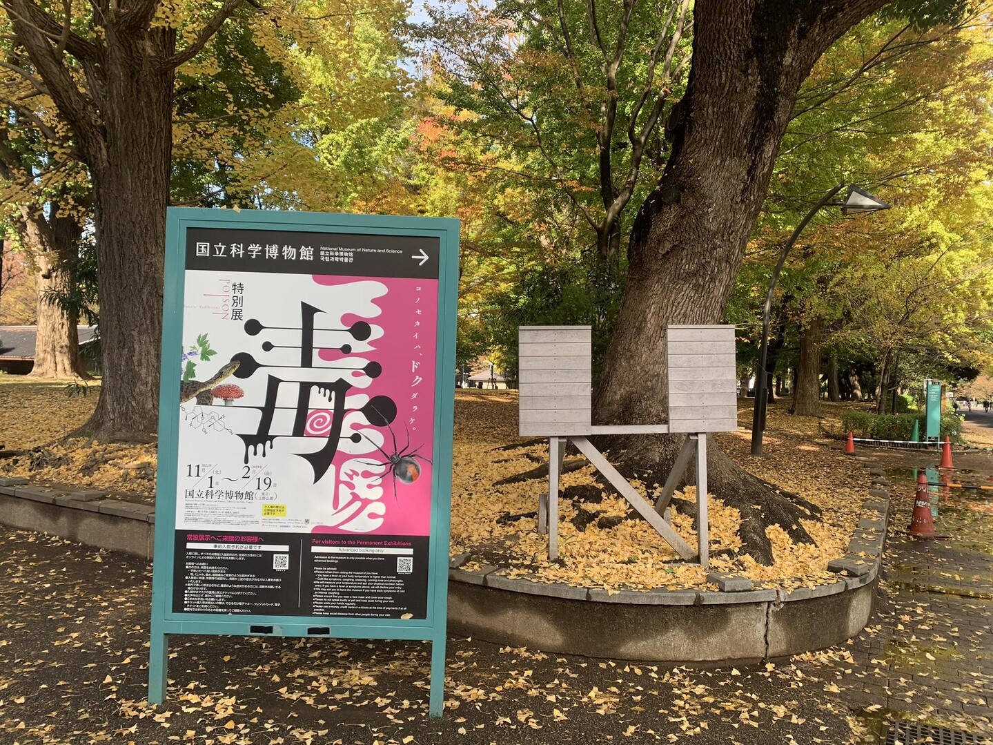 東京11日目 今日が𝑻𝑶𝑲𝒀𝑶... / k u :n e lさんのモーメント | YAMAP / ヤマップ