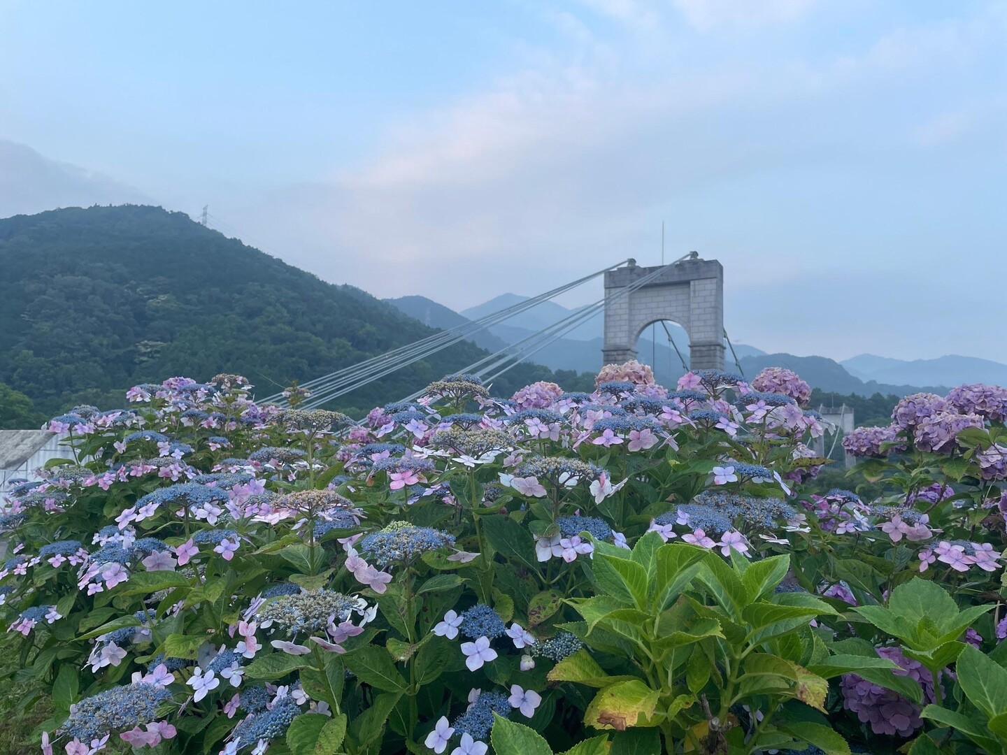Chu！映えなくてごめん 大倉〜三ノ塔（三ノ塔尾根） / ひろさんの塔ノ岳・丹沢山・蛭ヶ岳の活動データ | YAMAP / ヤマップ