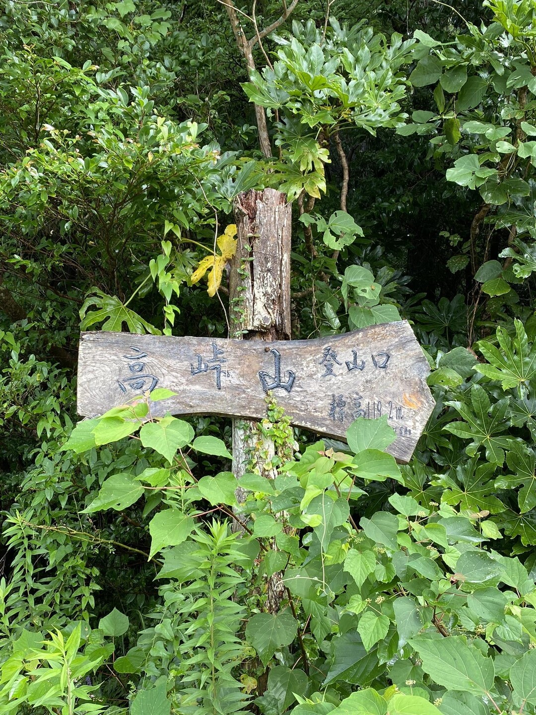 タカトコ山へトコトコと⛰️ / chiiiyanさんの青峰山の活動データ | YAMAP / ヤマップ
