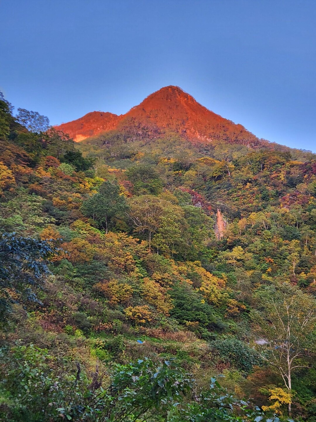 燕温泉から登る妙高山 / SUGAMIさんの妙高山・火打山の活動データ | YAMAP / ヤマップ