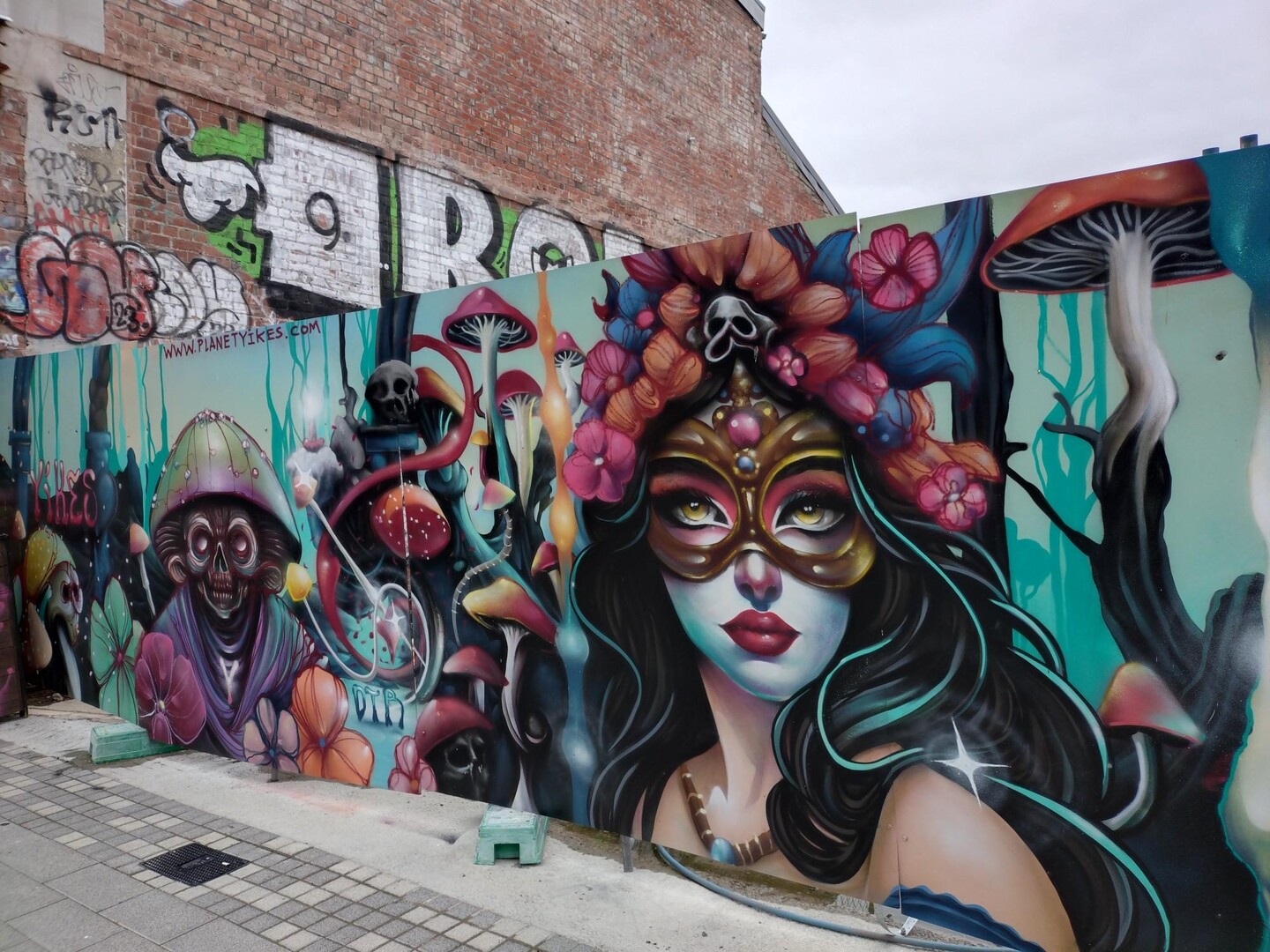 NZ③｜Milfordへ / Maunaさんのウォーキングの活動データ | YAMAP / ヤマップ