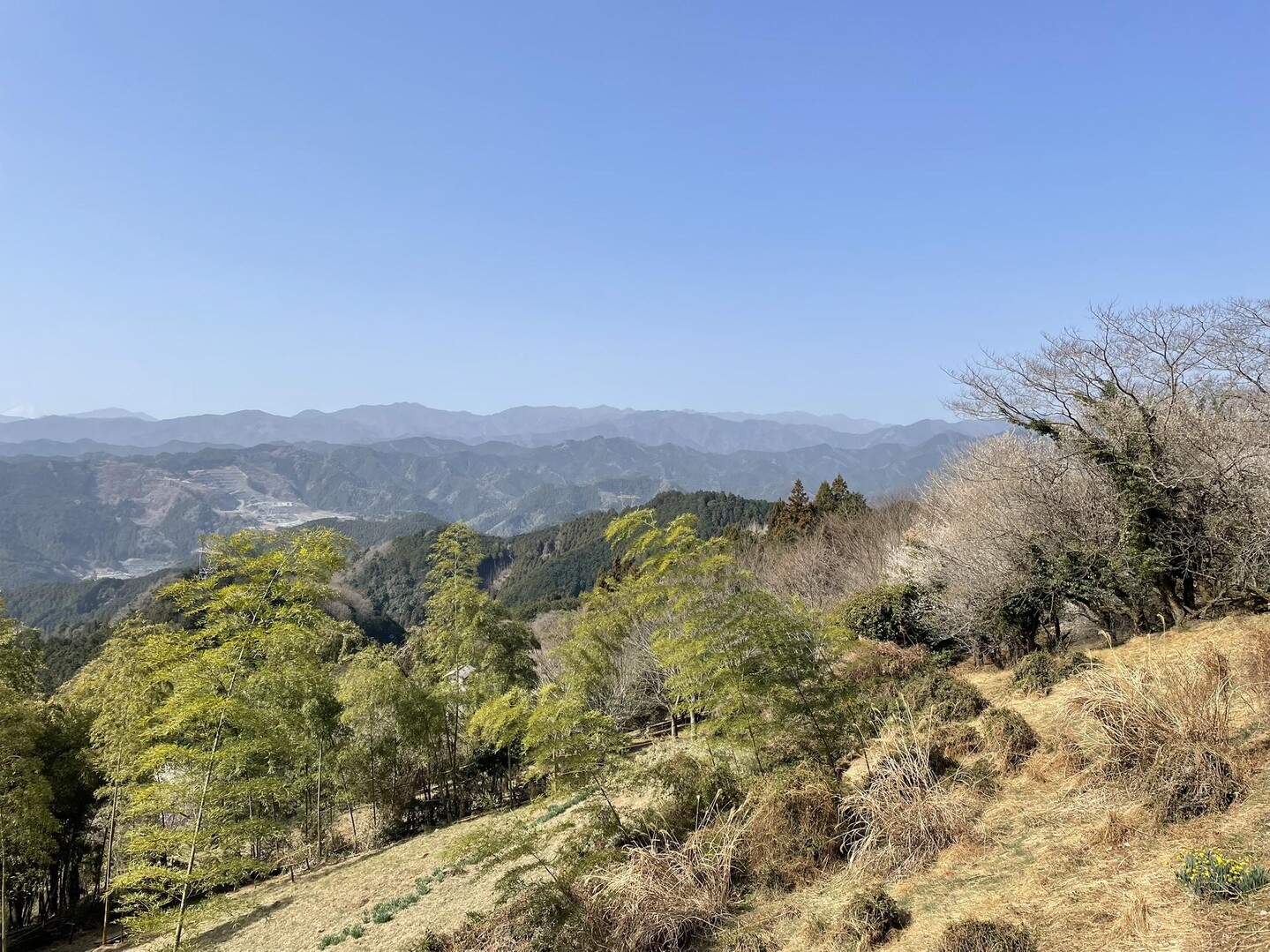 奥武蔵ロングトレイル35K試走※一部コース誤りあり / ボリ45さんの天覧山・多峯主山・天覚山の活動データ | YAMAP / ヤマップ