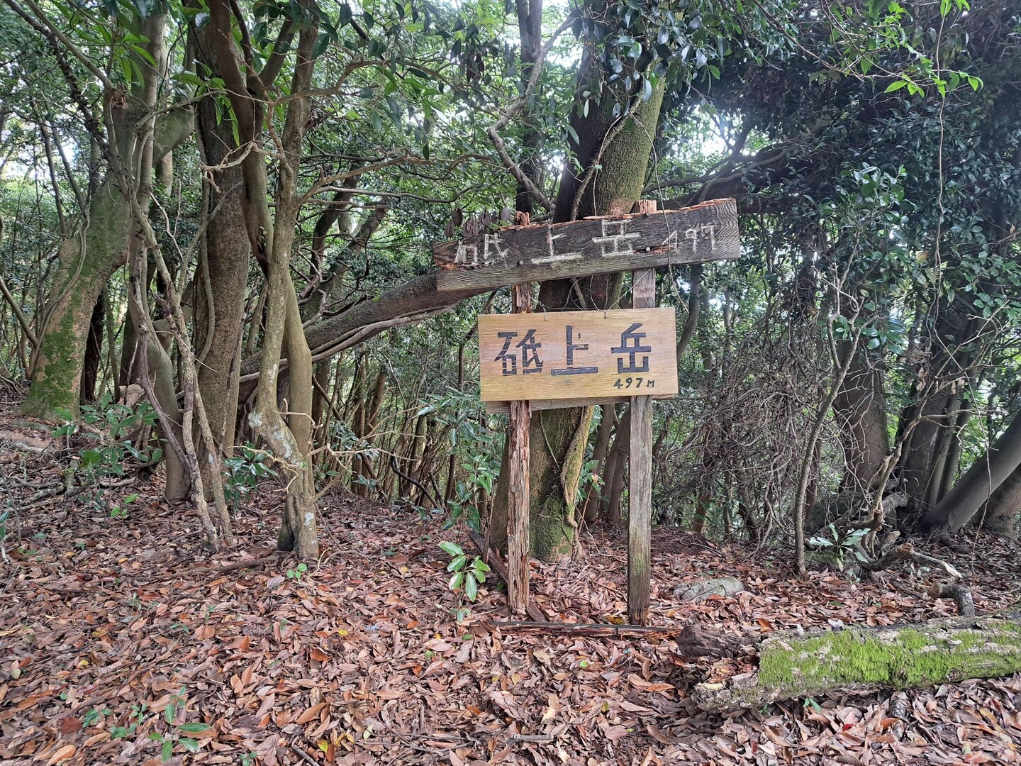 砥上岳 / Mr.OHOさんの砥上岳の活動データ | YAMAP / ヤマップ