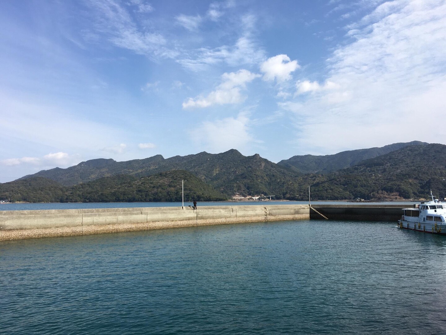 烏峠 / 烏峠・御所浦島の写真46枚目 | YAMAP / ヤマップ