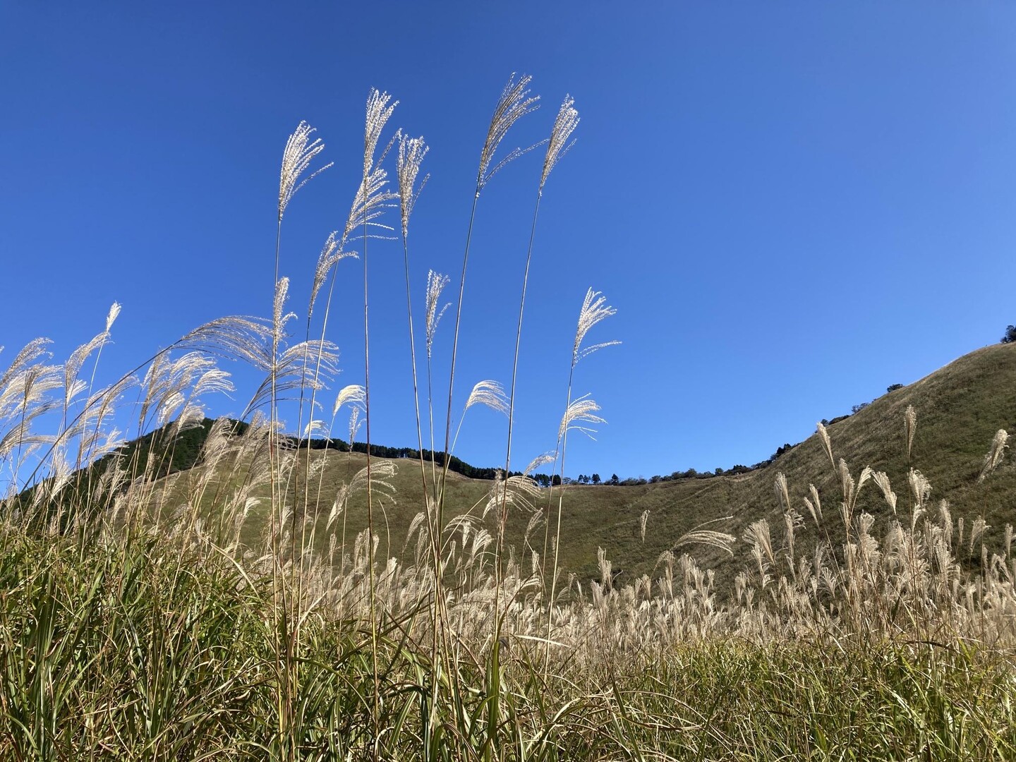 moppiさんの投稿したフィールドメモ | YAMAP / ヤマップ