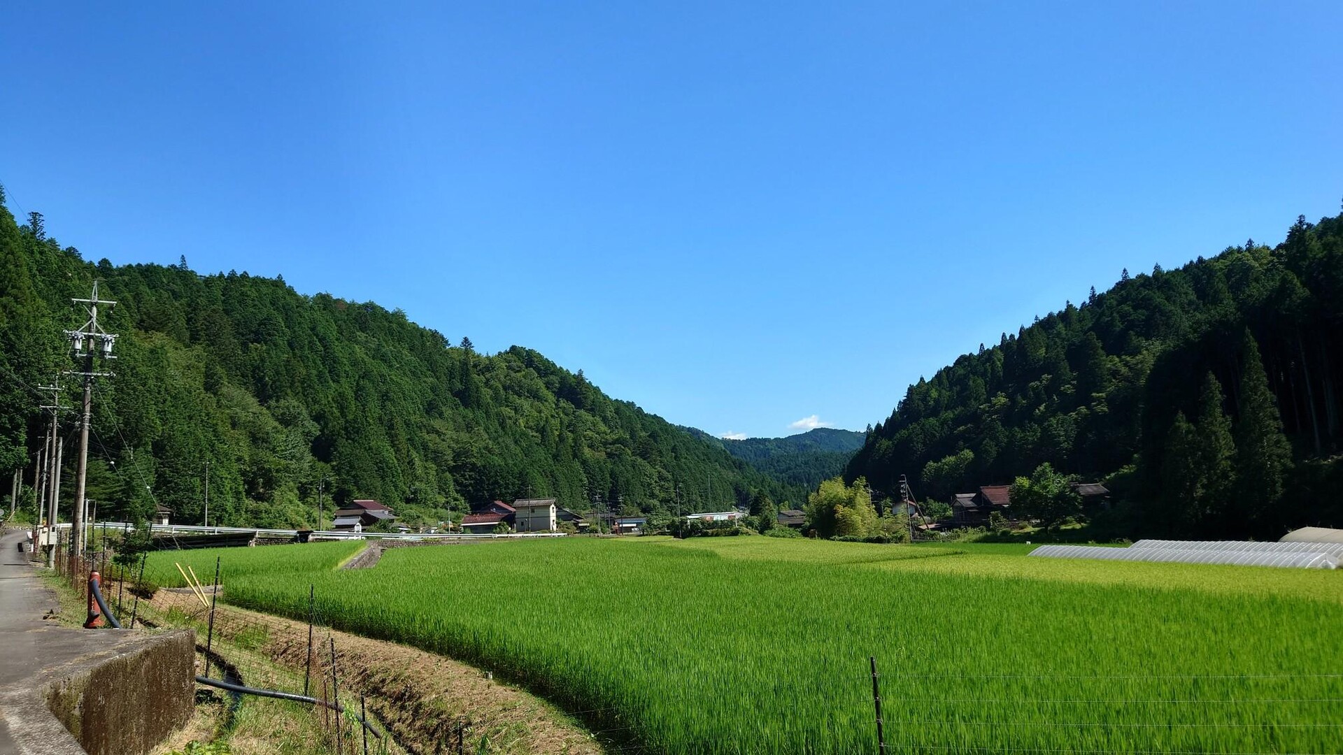 上之保ハイキング / akiさんの城山・女夫山・天神山の活動データ | YAMAP / ヤマップ