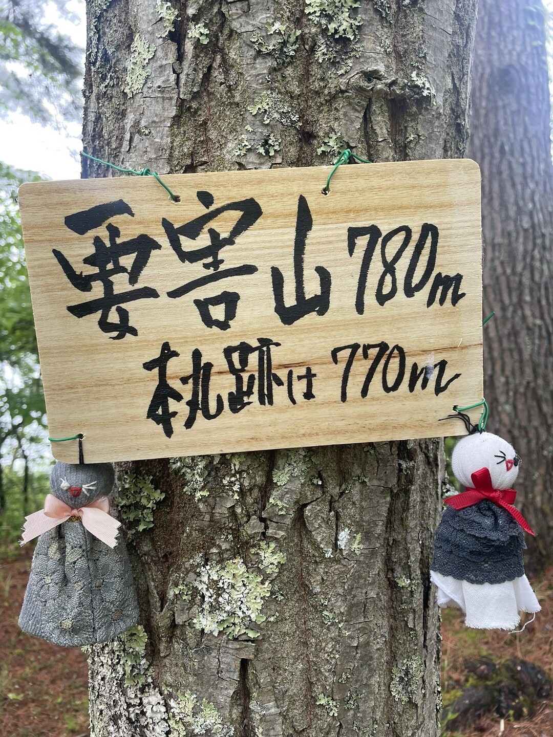 要害山(丸山) / tatariiさんの興因寺山・淡雪山・八王子山の活動データ | YAMAP / ヤマップ