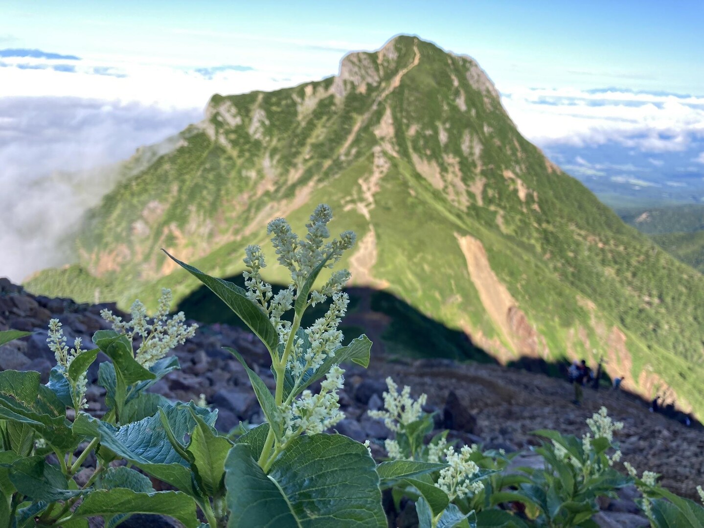 阿弥陀岳・赤岳(八ヶ岳)・地蔵ノ頭 / ☆ tsu-sun ☆さんの八ヶ岳（赤岳・硫黄岳・天狗岳）の活動データ | YAMAP / ヤマップ