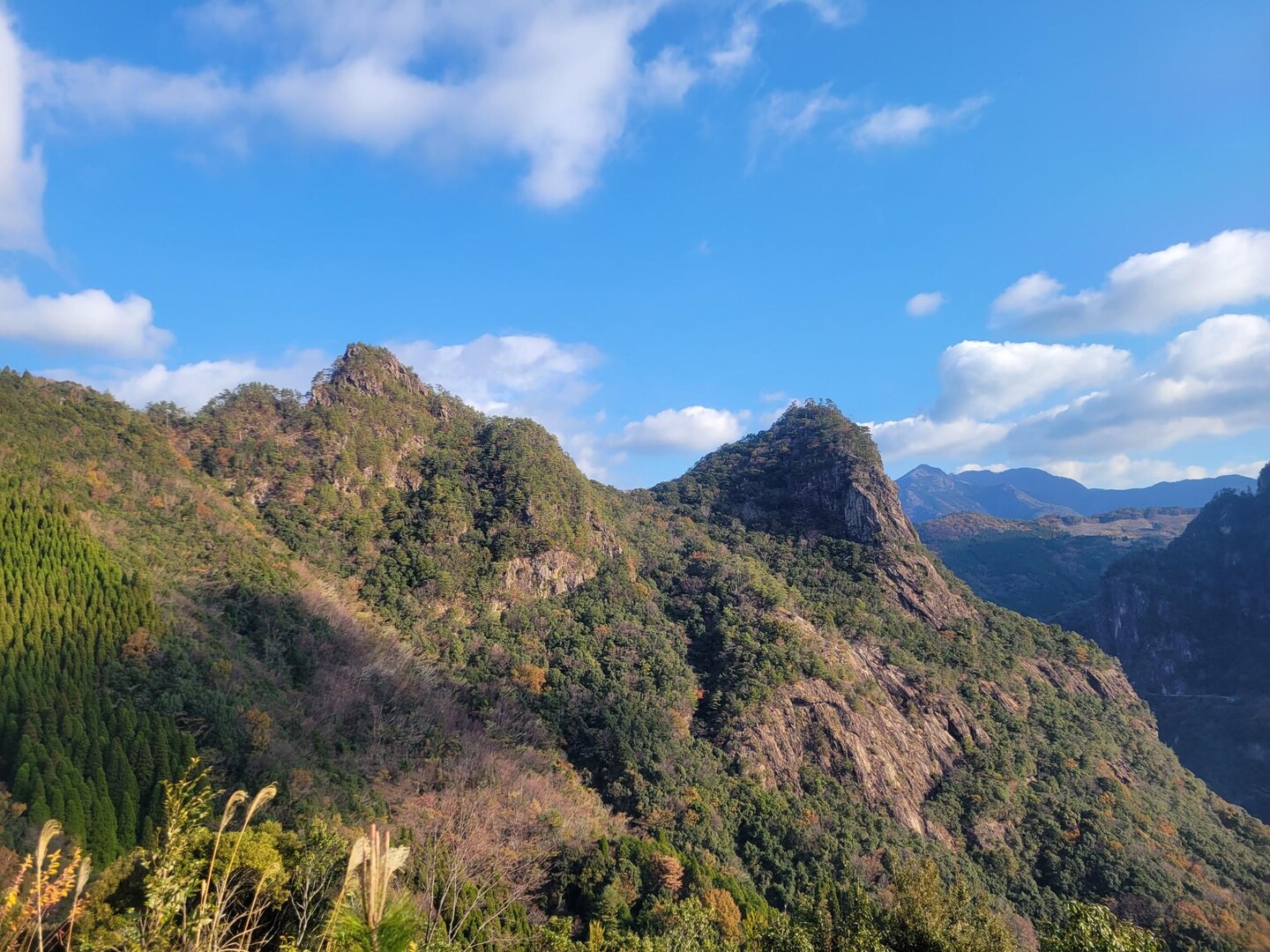 矢筈トレッキン☺️ / ヤマしんSP🌾さんの丹助岳・矢筈岳・比叡山の活動データ | YAMAP / ヤマップ