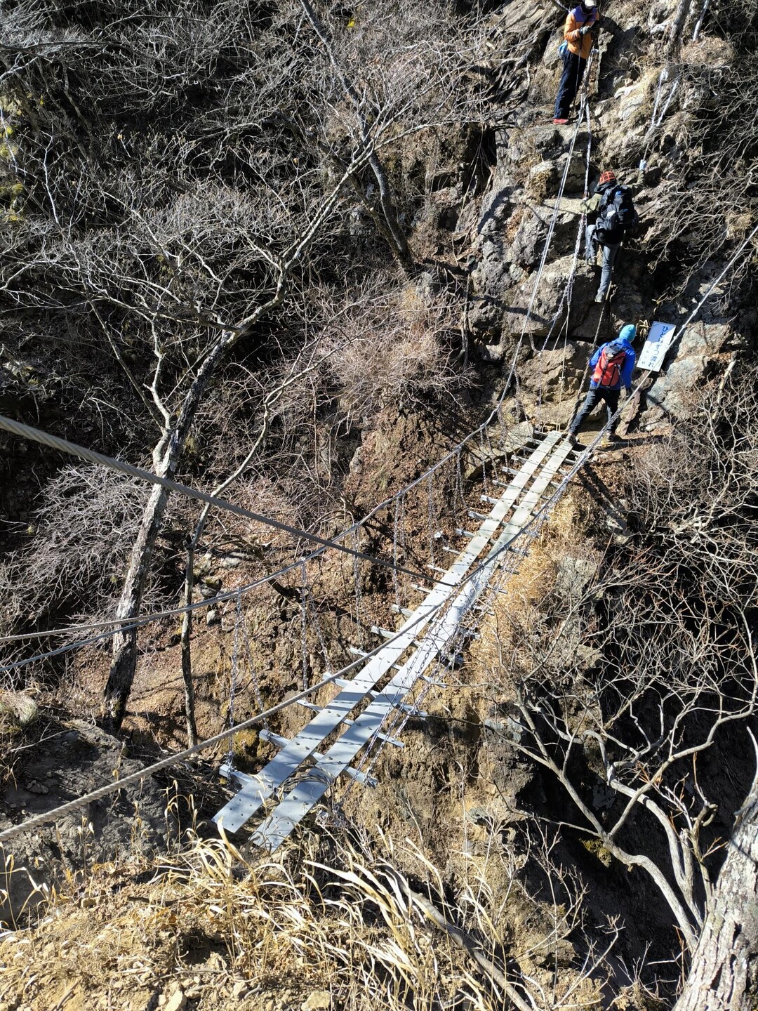 ミネ山・毛無山・十二ヶ岳 / japoさんの富士山の活動データ | YAMAP / ヤマップ