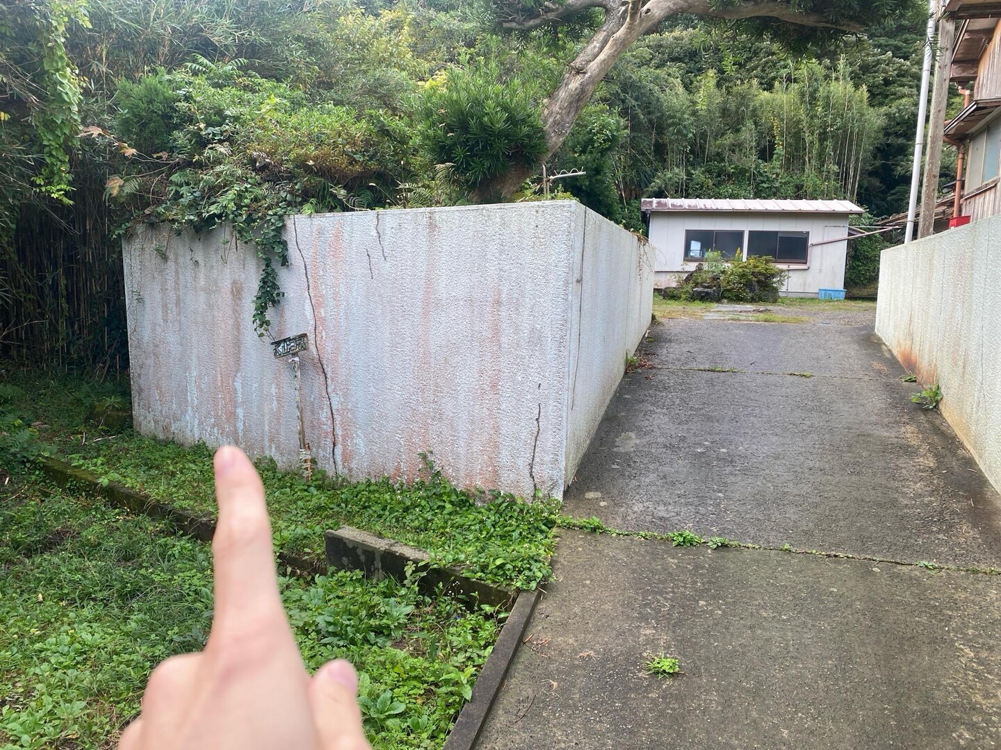 nachaさんの投稿したフィールドメモ | YAMAP / ヤマップ