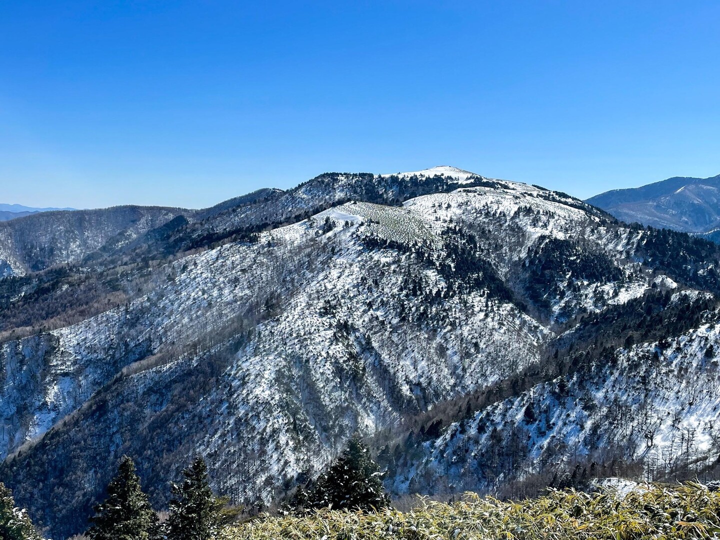 南沢山・横川山 / YHさんの恵那山・大判山・神坂山の活動データ | YAMAP / ヤマップ