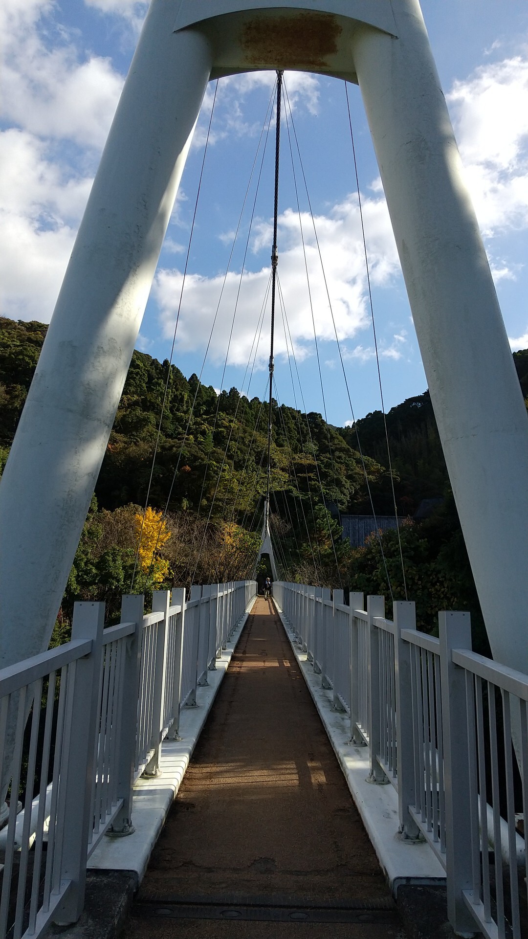 二丈岳初登山 登山道沿いの沢の滝に癒やさ... / コテツ1113さんのモーメント | YAMAP / ヤマップ